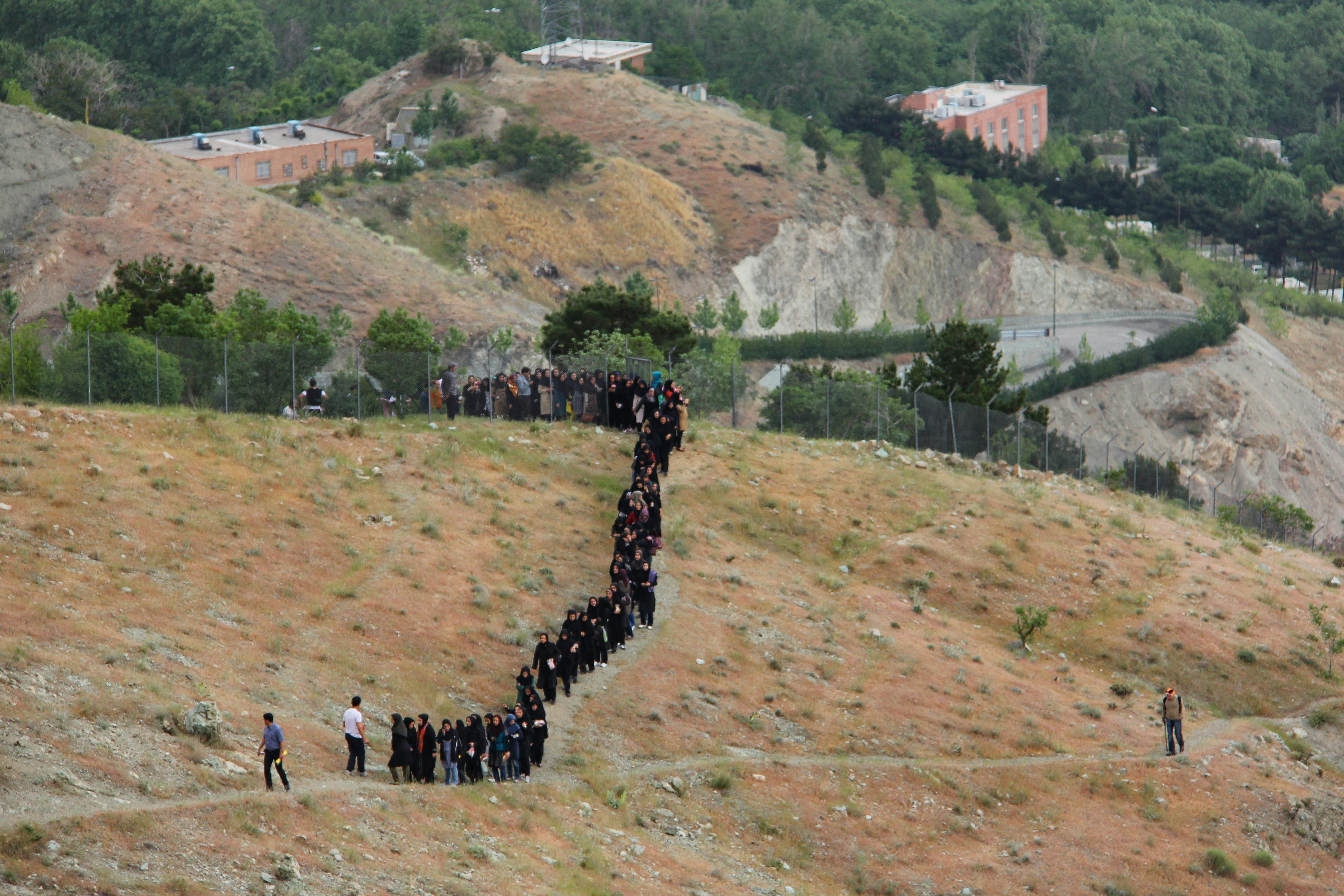 The Serpentine Crowd: A Long Line Across the Quarry Hill