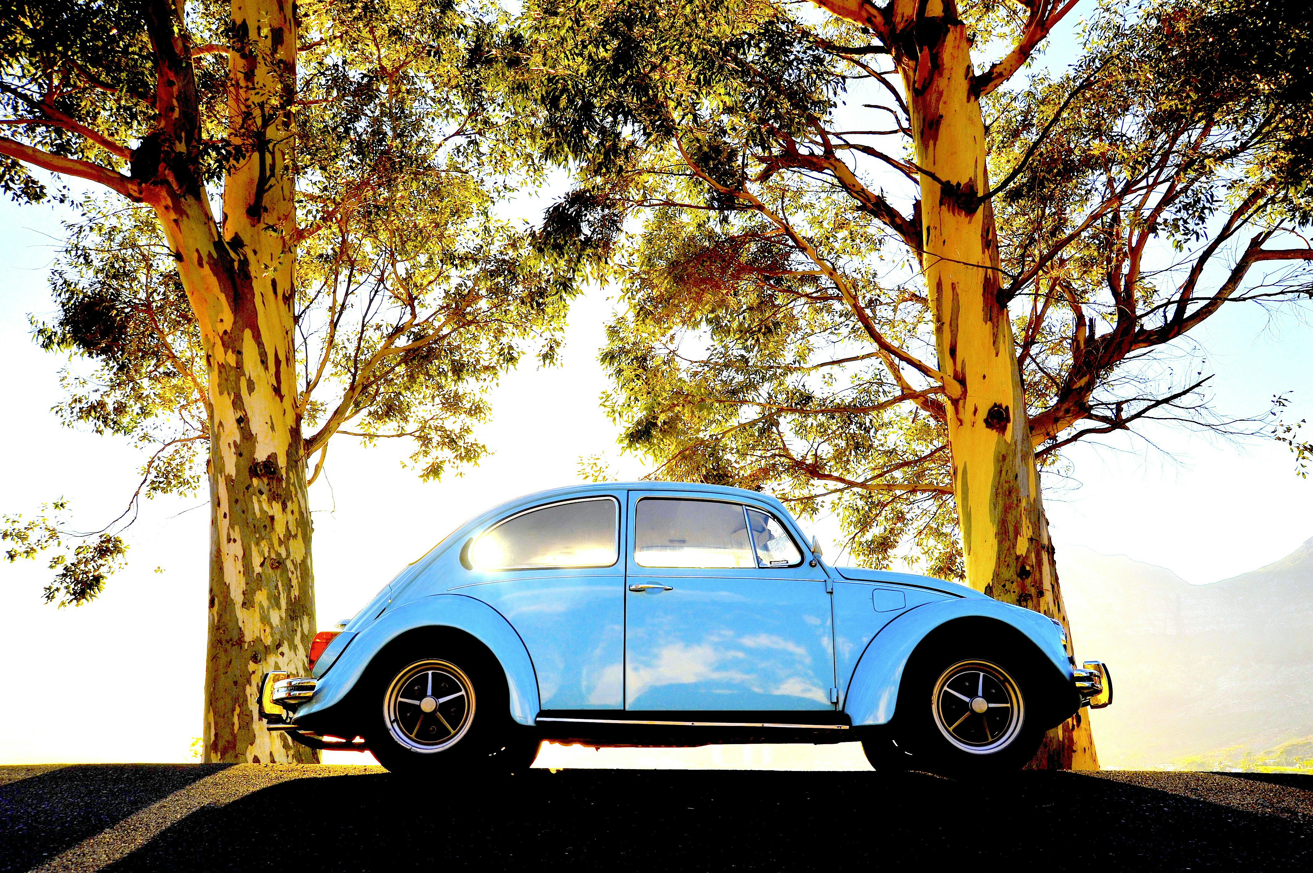 Photo by Ulf Meyer with Nikon D700