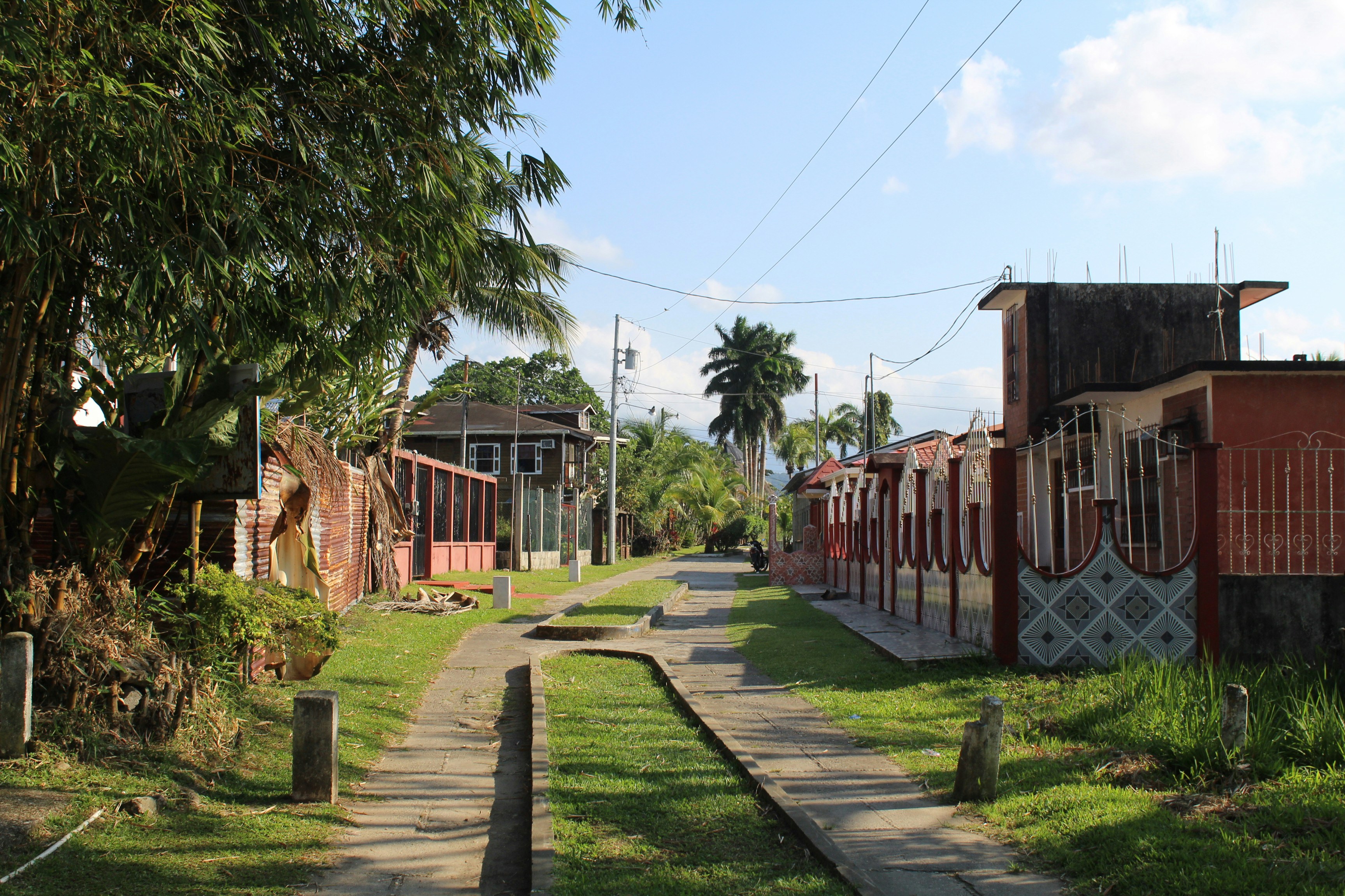 A row of red houses sitting on top of a lush green field photo – Free ...
