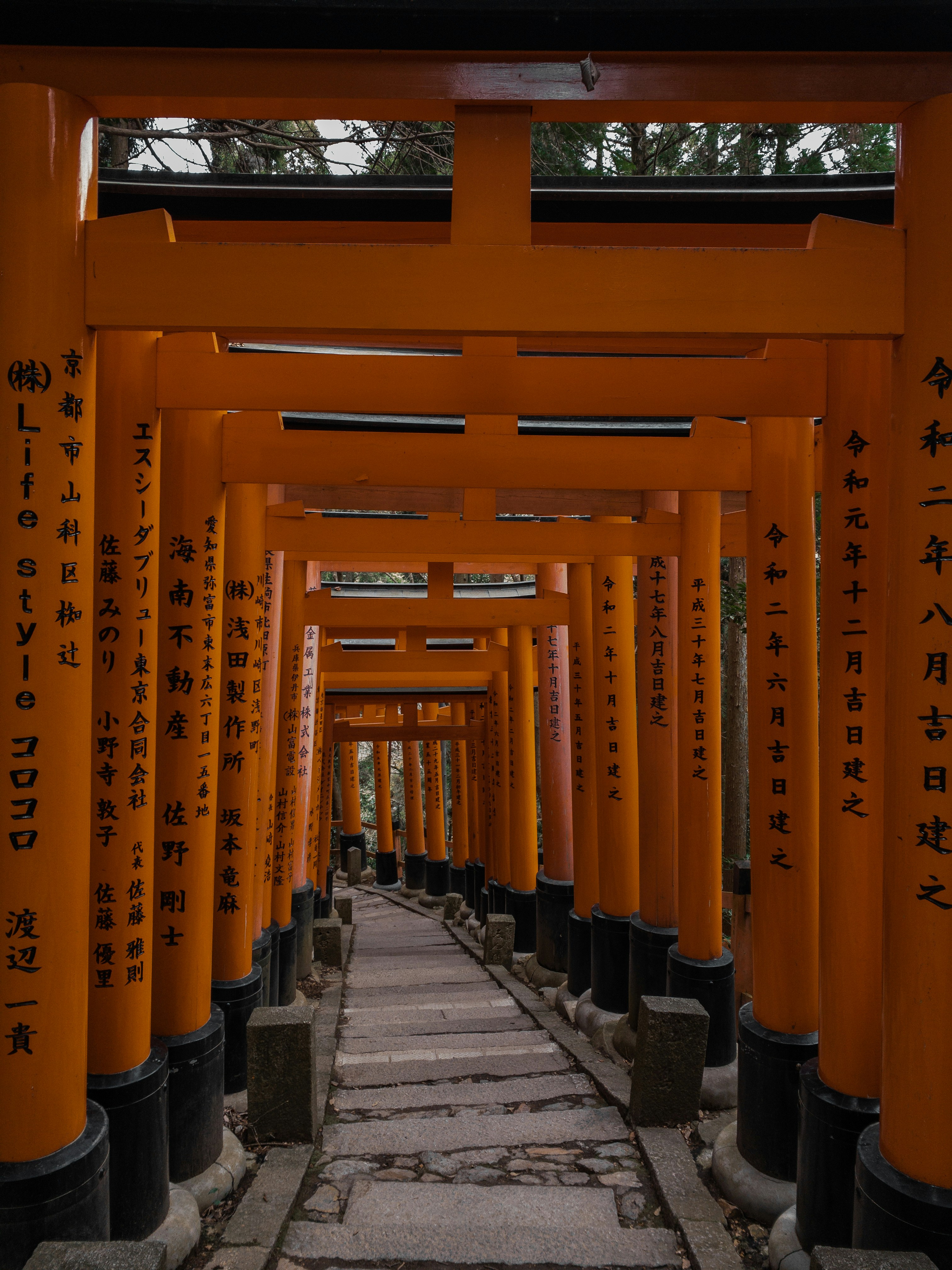 Bilder zum Thema Senbon Torii (Tausender Torii Tor) | Kostenlose Bilder ...