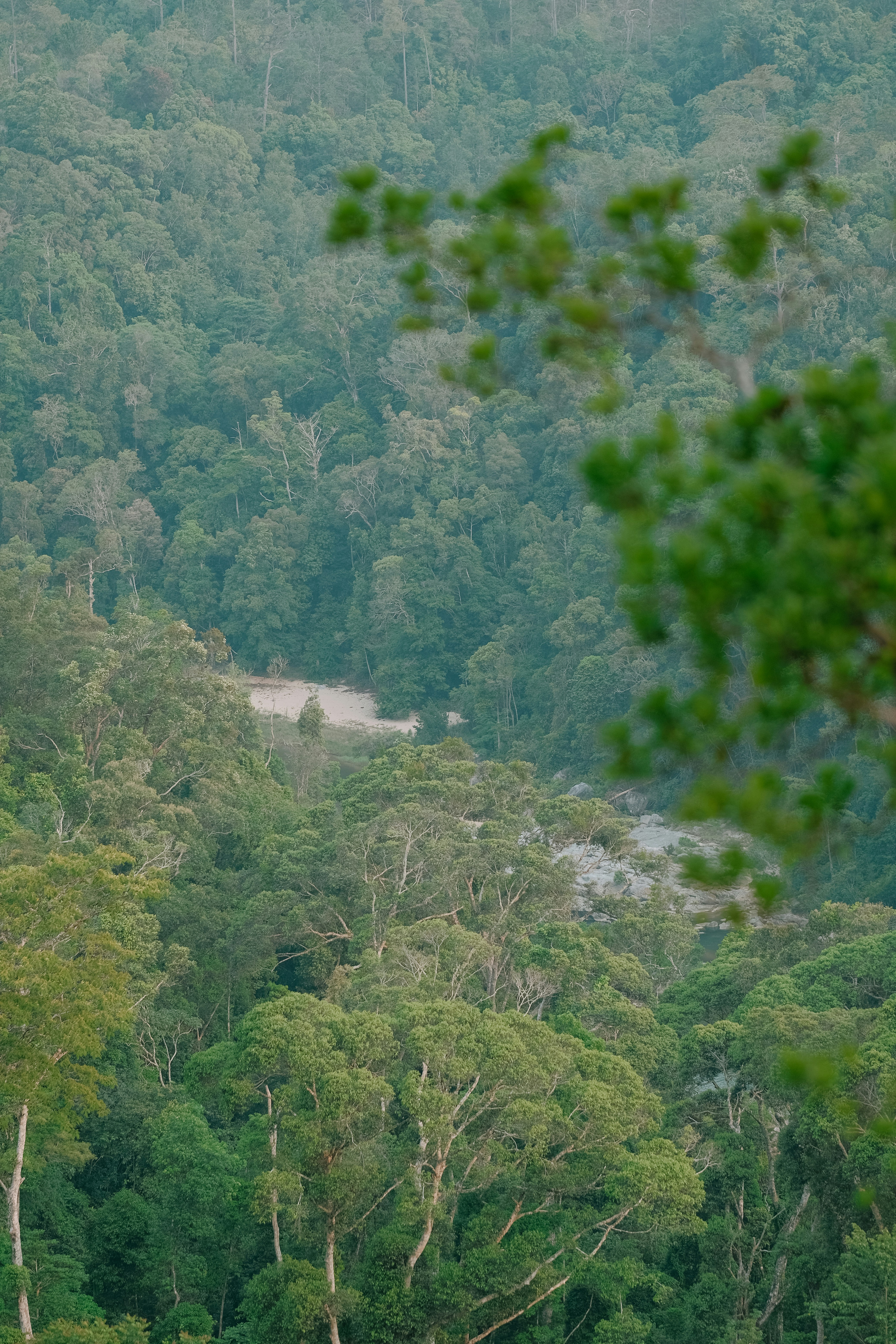 Photo by Pew Nguyen with Fujifilm X-T30