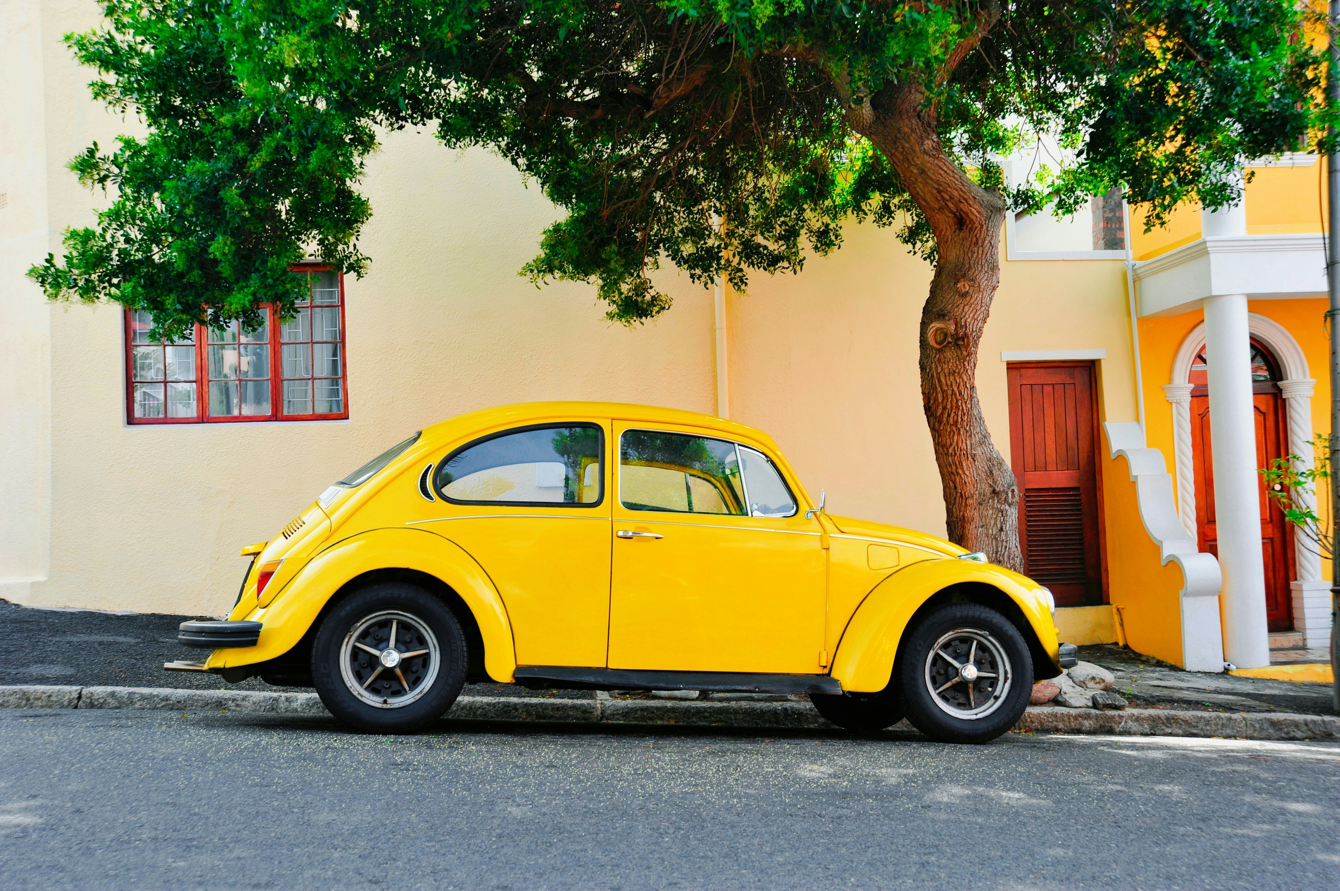 A classic yellow Volkswagen Beetle parked beside a vibrant tree and colorful building, showcasing a blend of retro design and urban scenery.