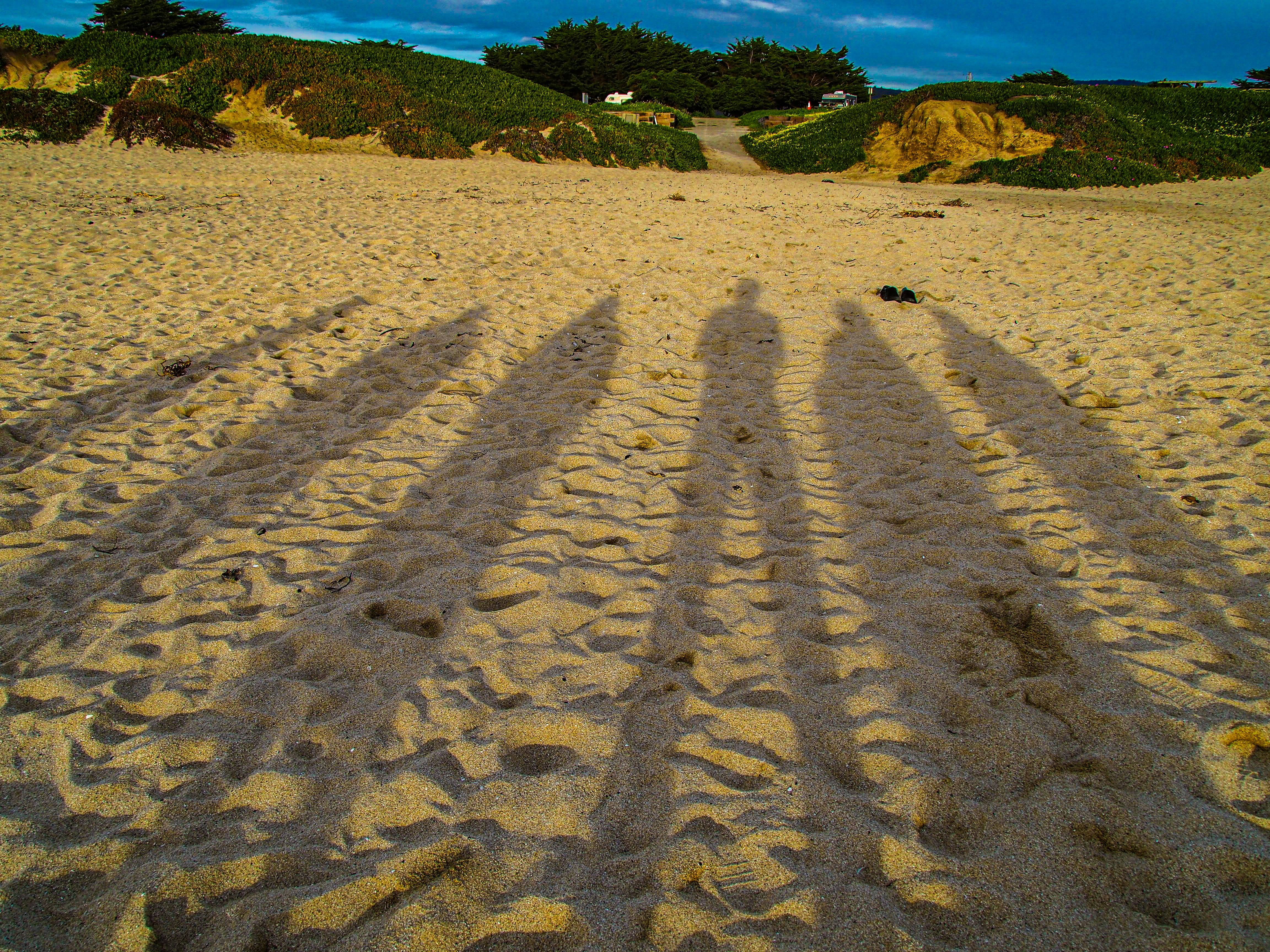 Shadow Parade on Sunlit Dunes