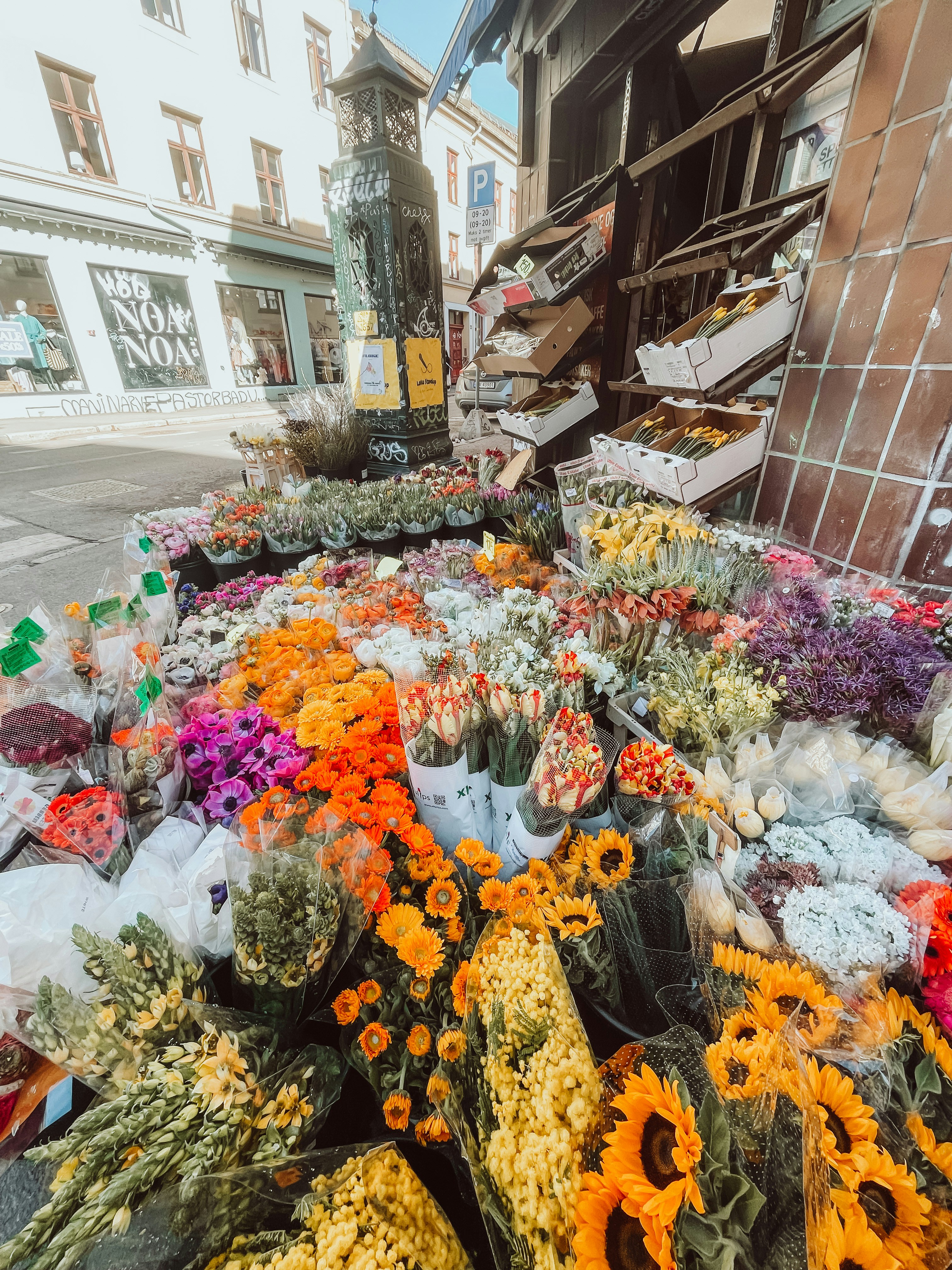 Vibrant Flower Stand Along a City Street