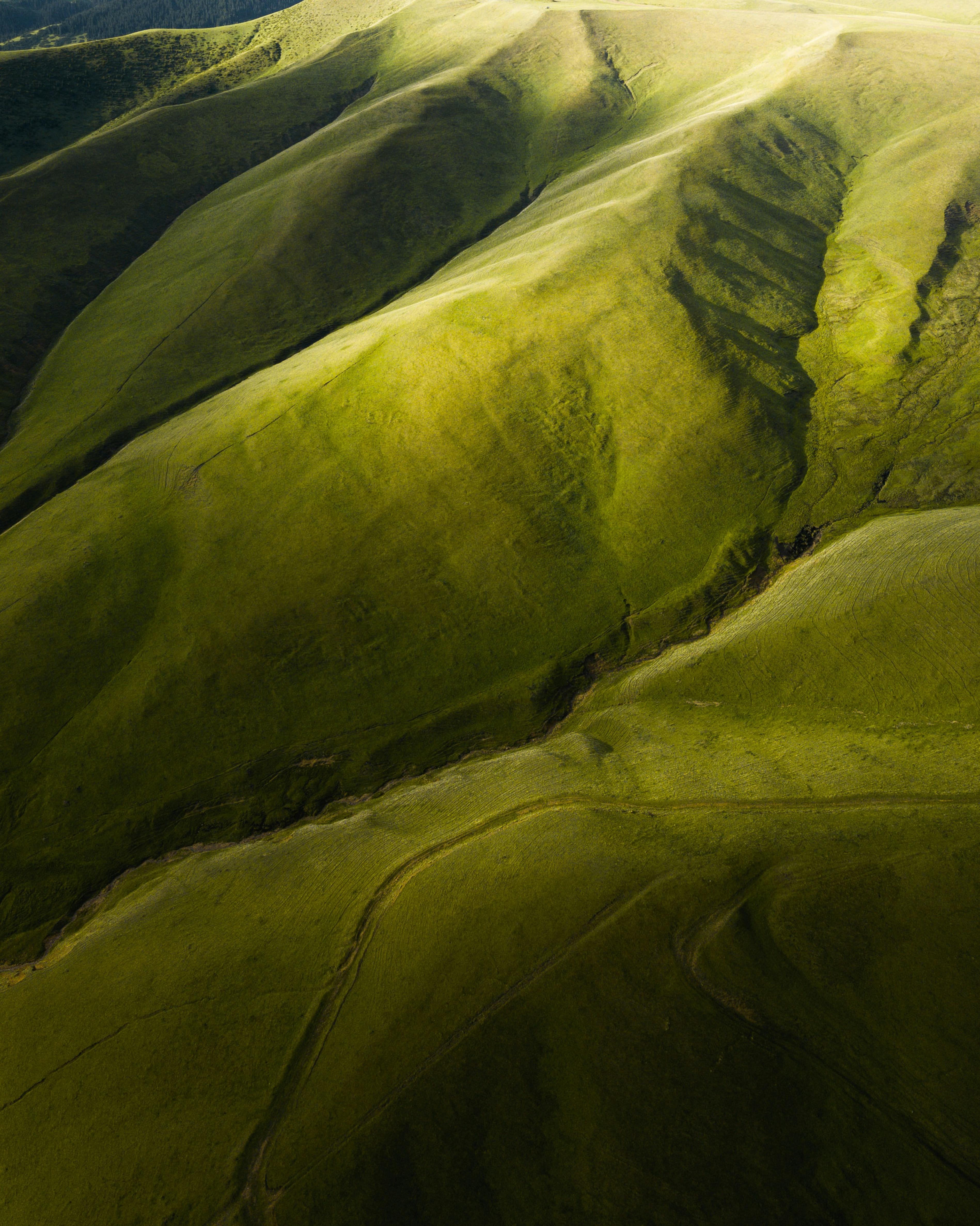 Earth from Above | 100+ best free above, earth, grey and aerial view ...