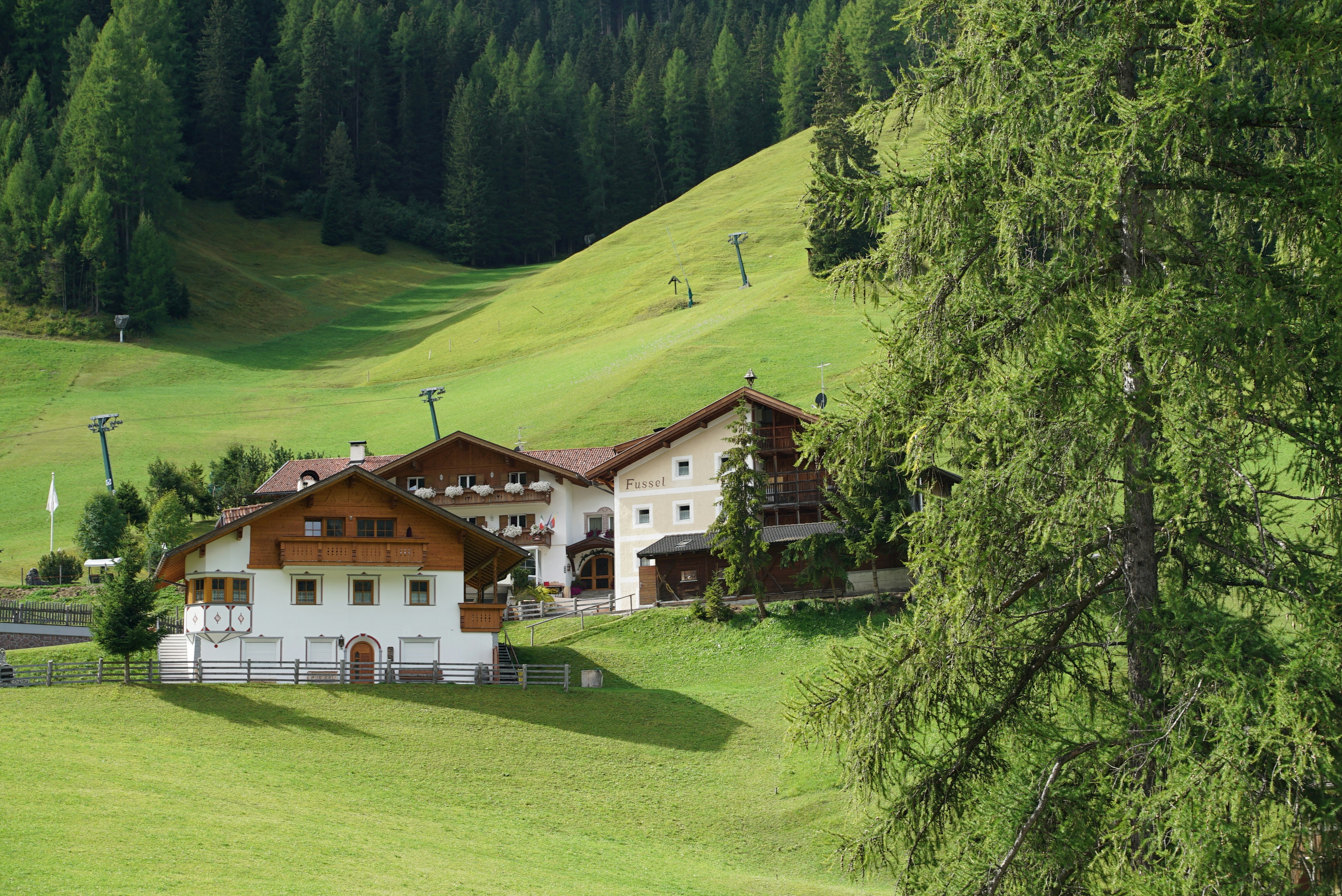 Hilltop Chalet Ensemble beneath a Verdant Forest