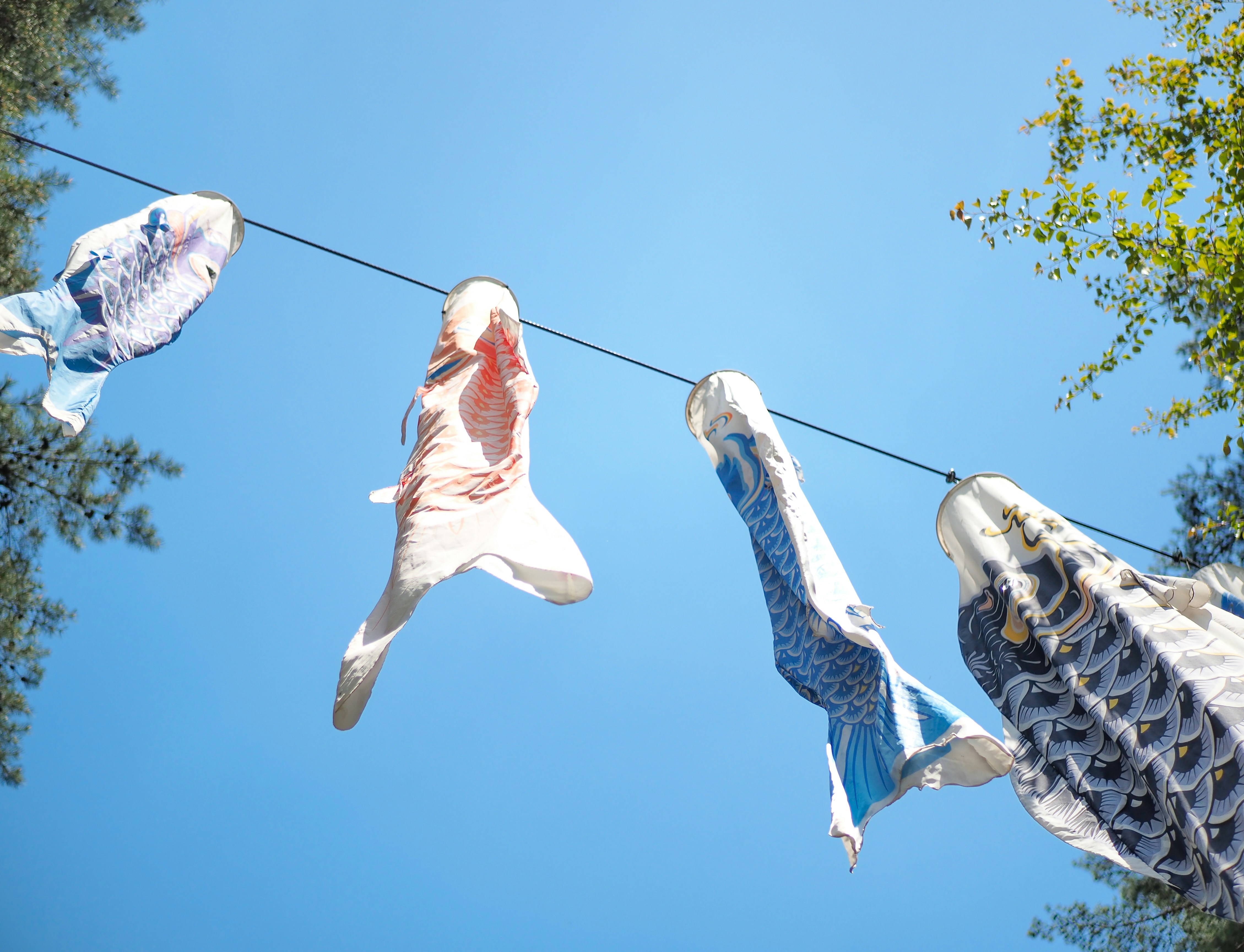 A string of cloths hanging from a clothes line photo – Free Japan Image ...