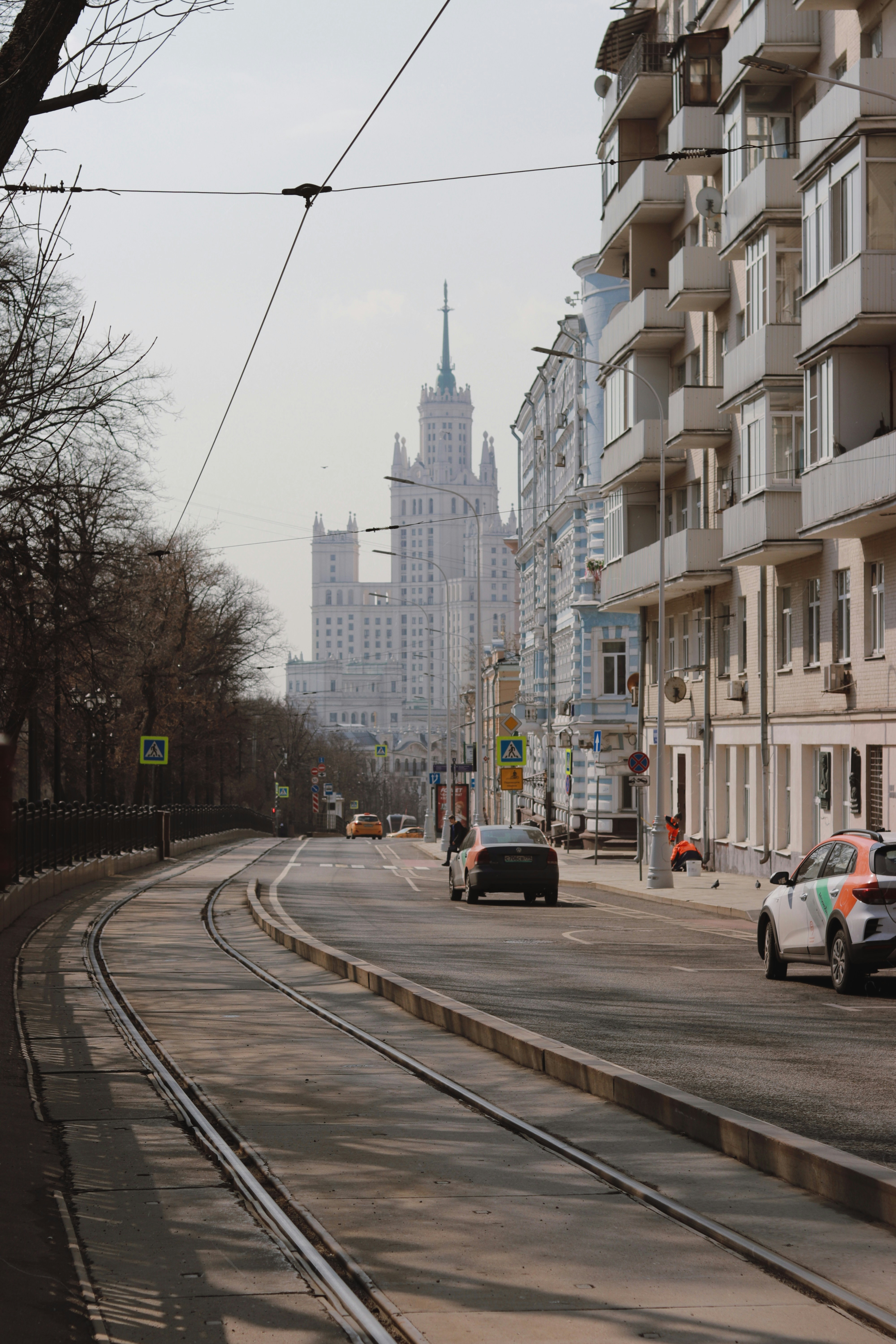 Bird on a Wire Over a Tram-Lined Avenue Toward a Towering Skyline