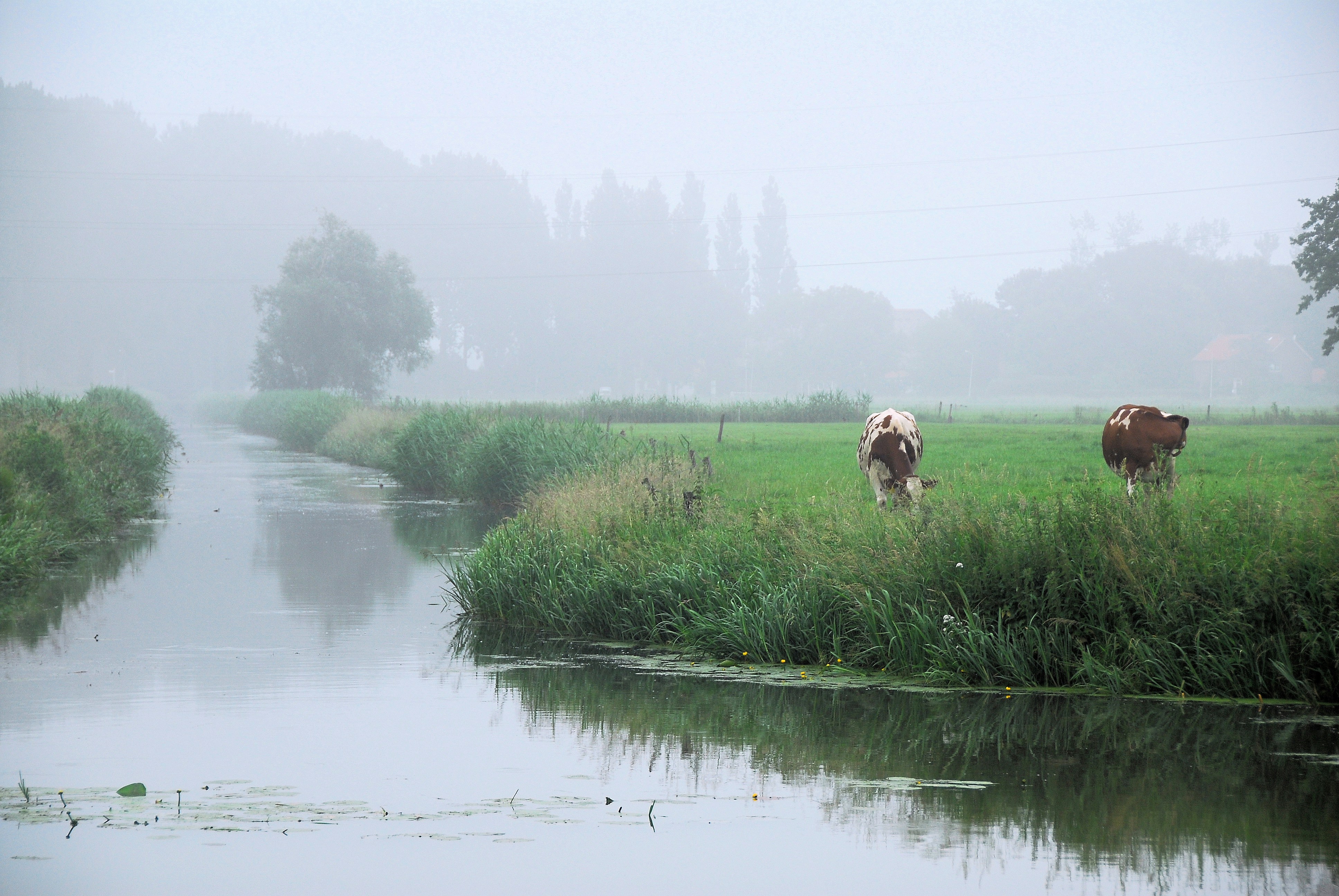 Op de grens tussen gelderland en utrecht