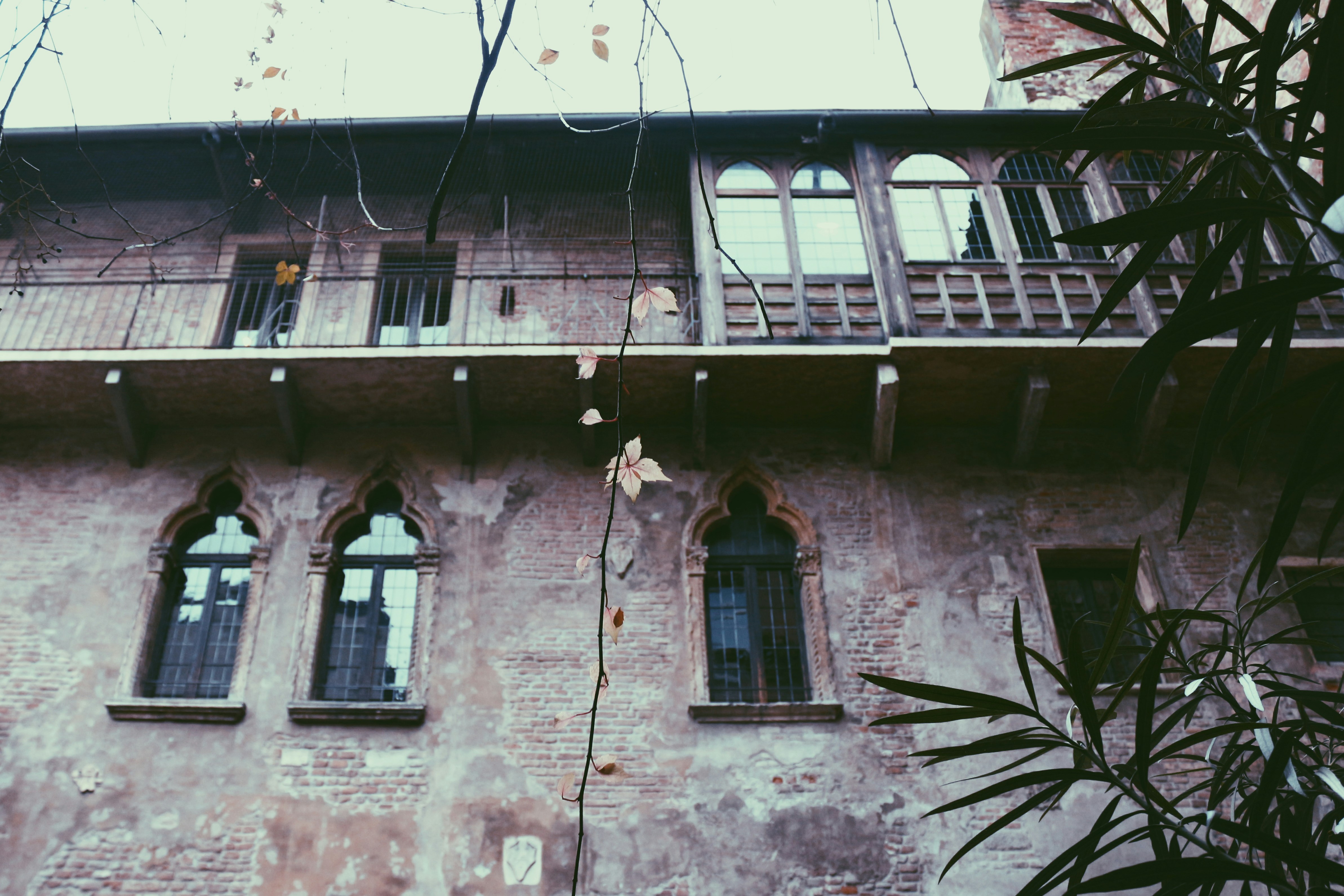 Photo by Rhamely with Canon EOS 100D