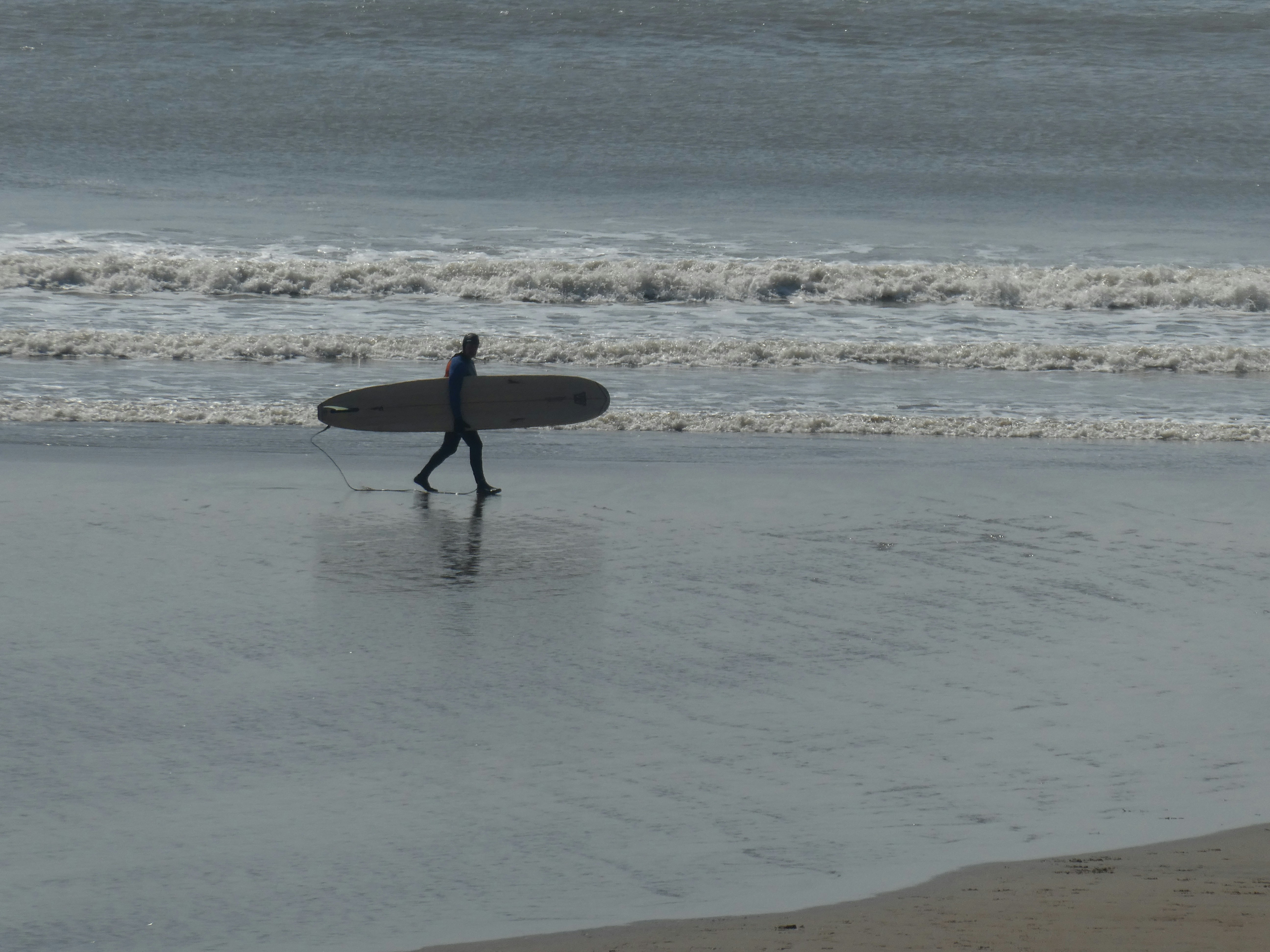 Lone Surfer Tracing the Wet Edge at a Quiet Beach