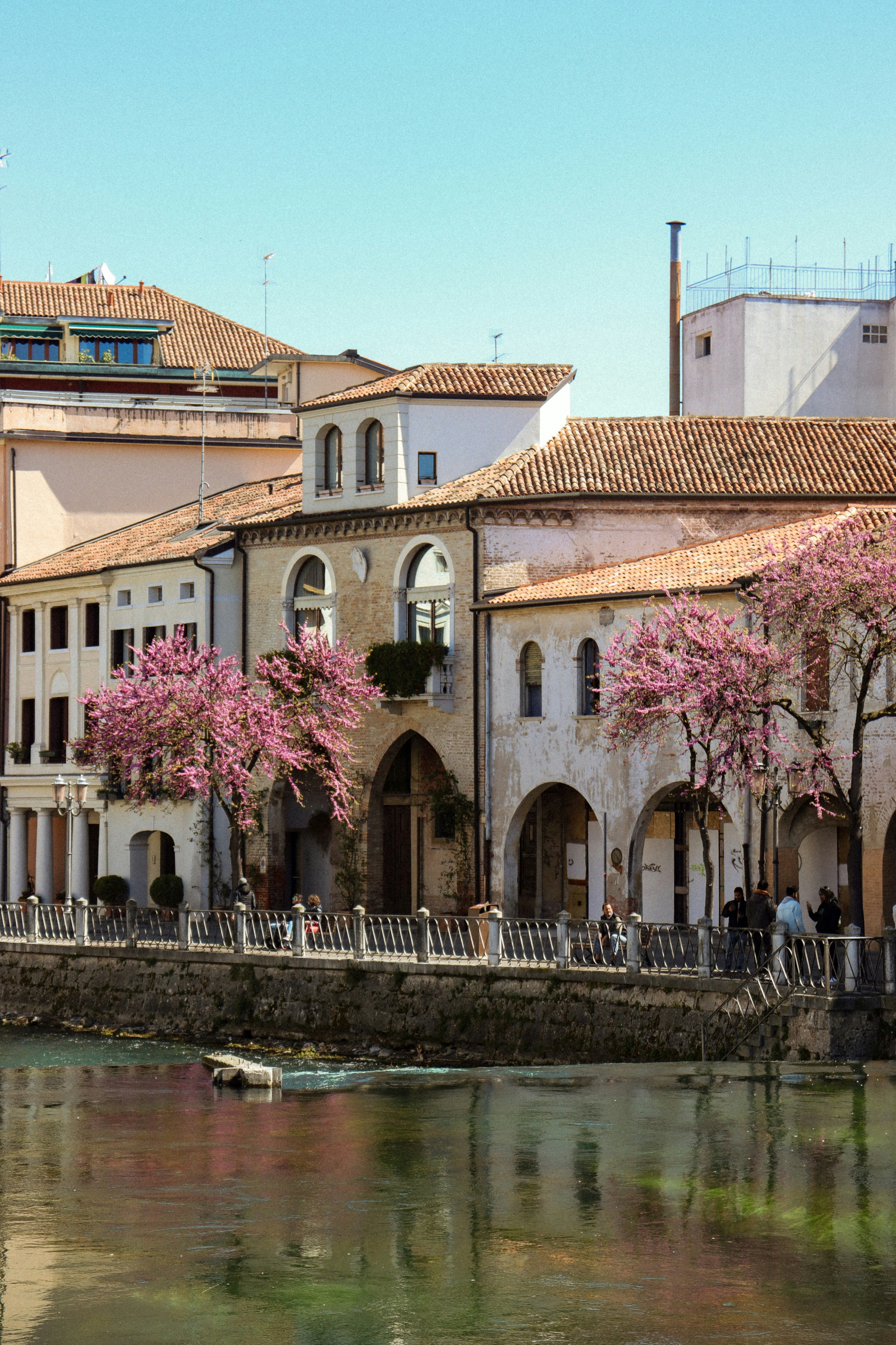 Blooming streets of TREVISO🌸🕊️ 📸TREVISO🇮🇹ITALIA✨2023 ~by Nicole Arango Lang~SK🇸🇰 | a body of water surrounded by buildings and trees
