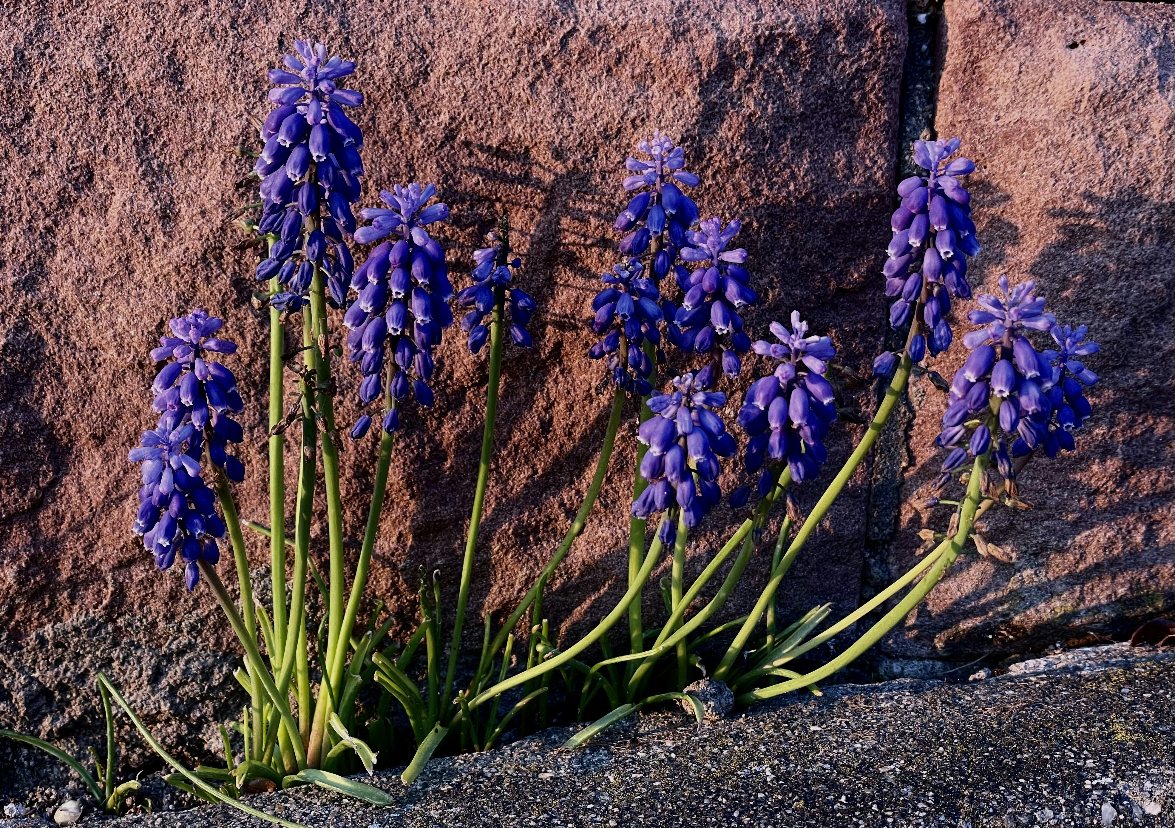 Photo by Bernd 📷 Dittrich with Apple iPhone 12 Pro