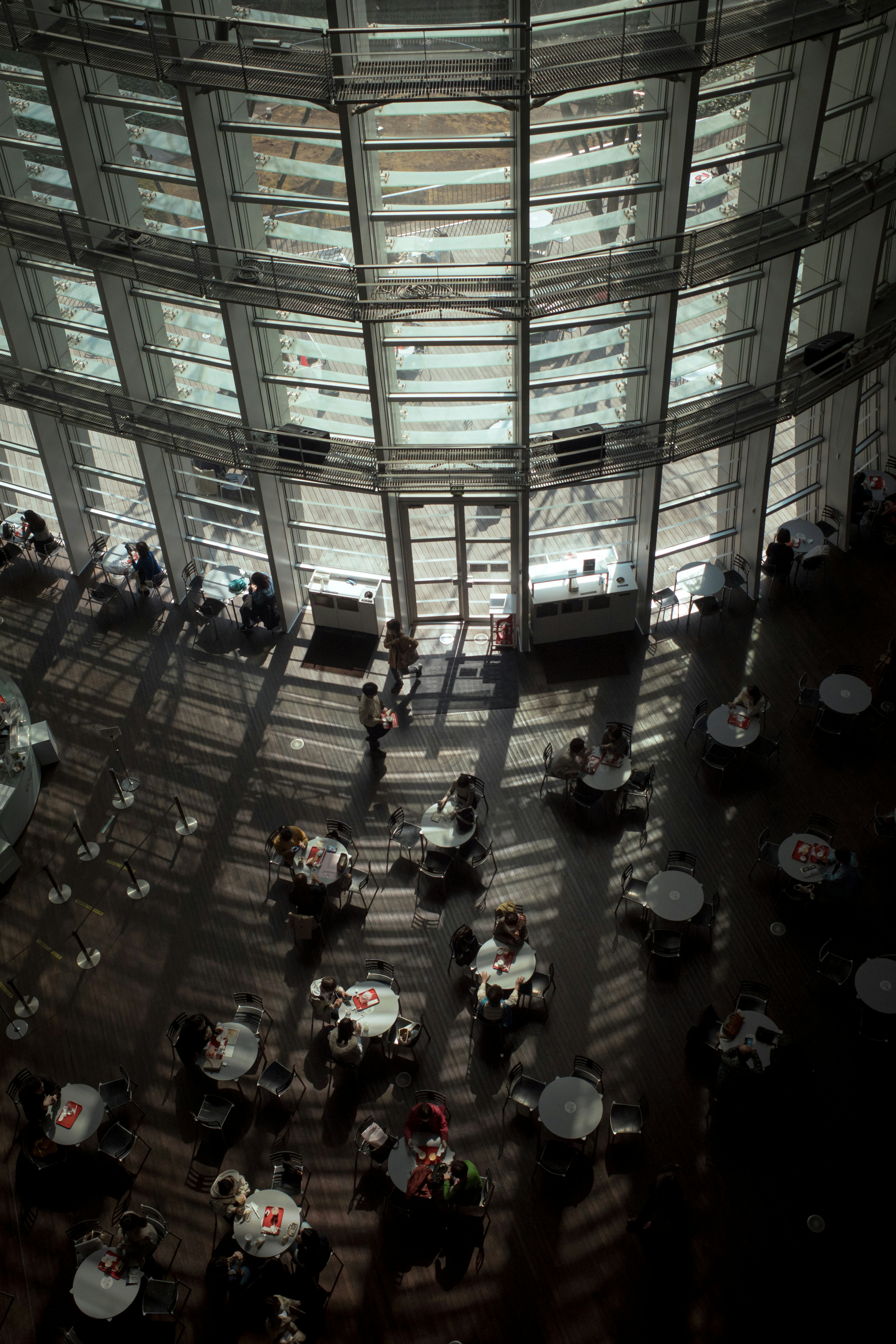 Sunlit Geometry Over Coffee in a Circular Glass Atrium