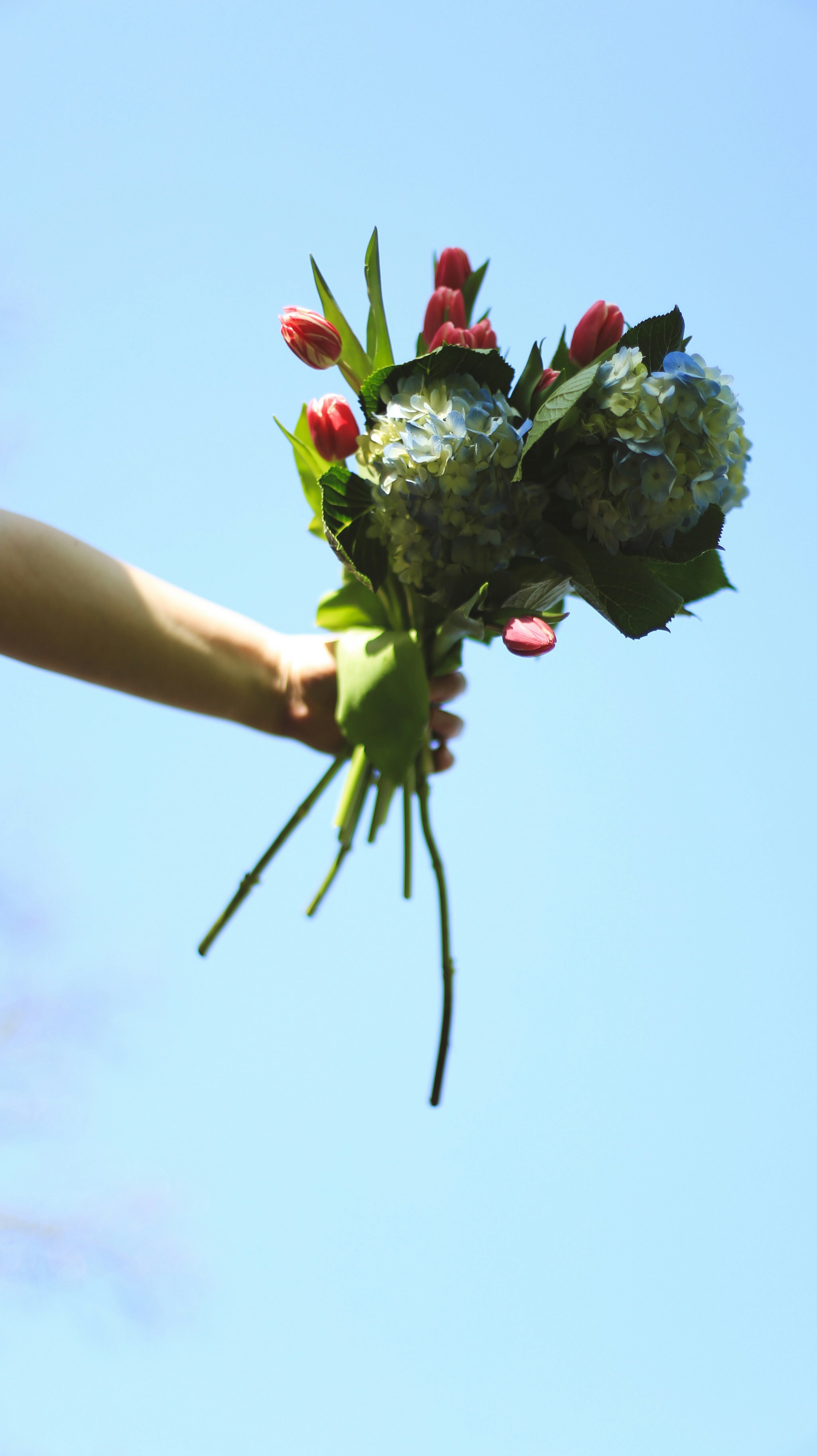a person holding a bunch of flowers in their hand