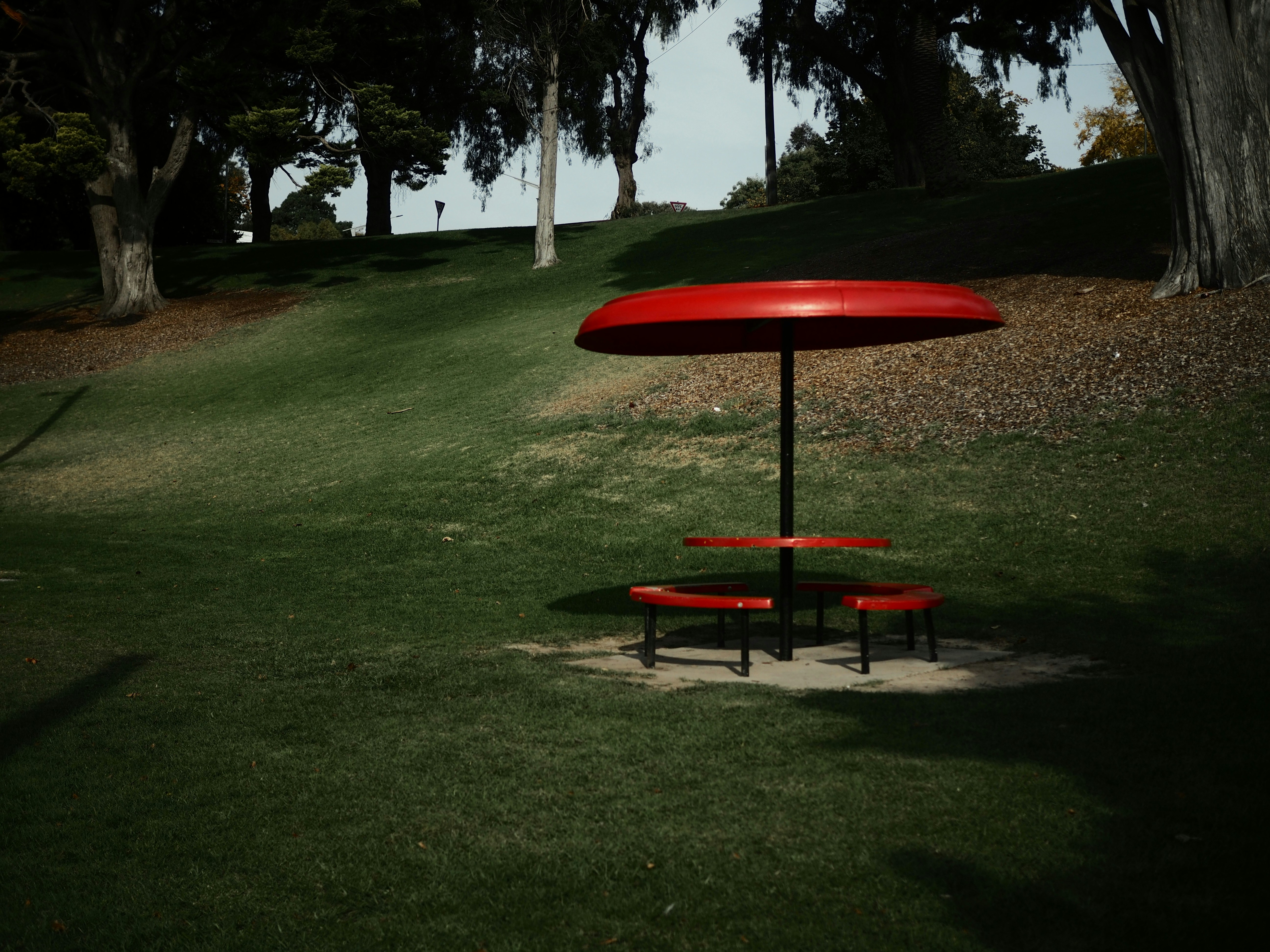 Scarlet Shelter Over a Quiet Park Picnic Table
