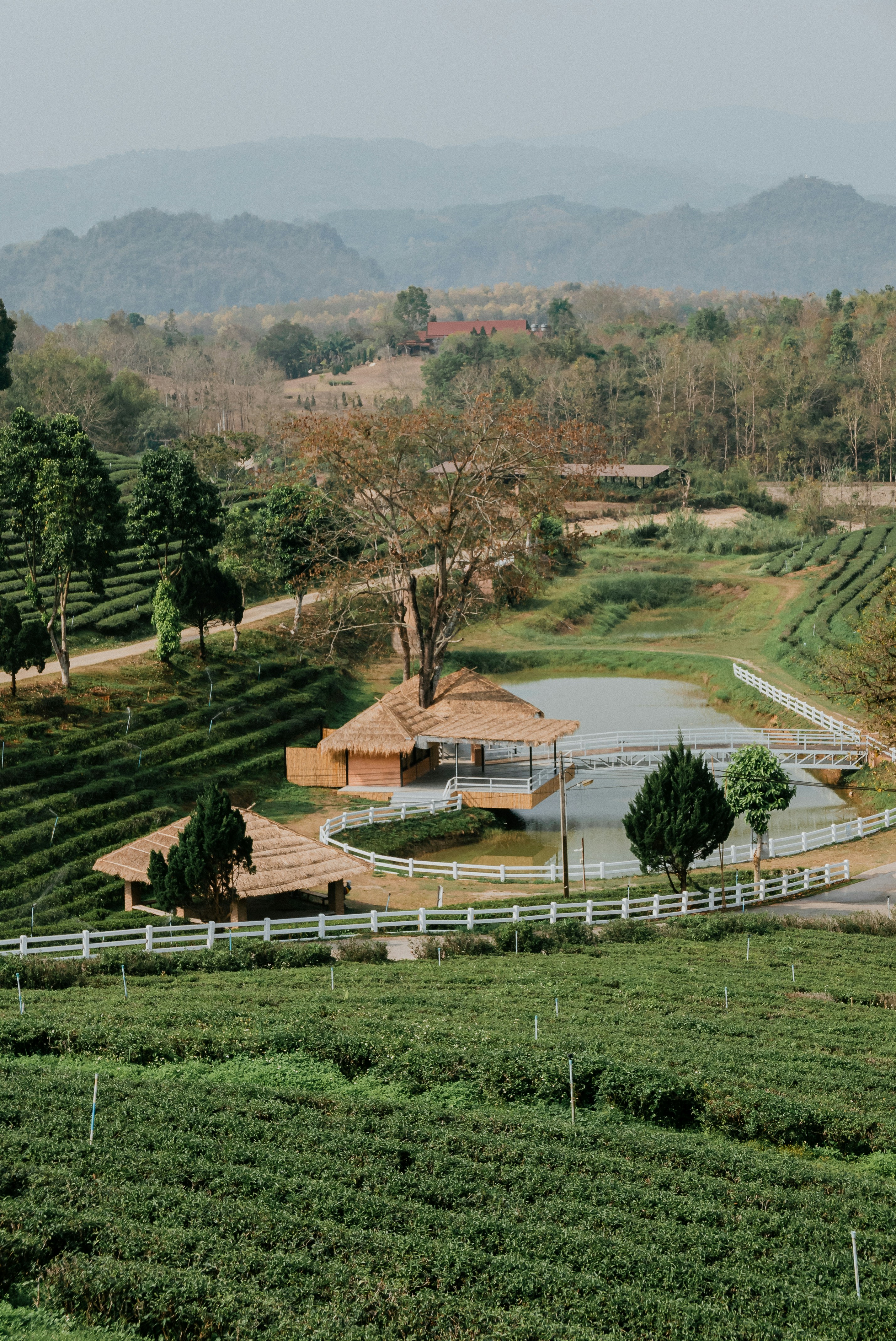 Pastures in Thailand