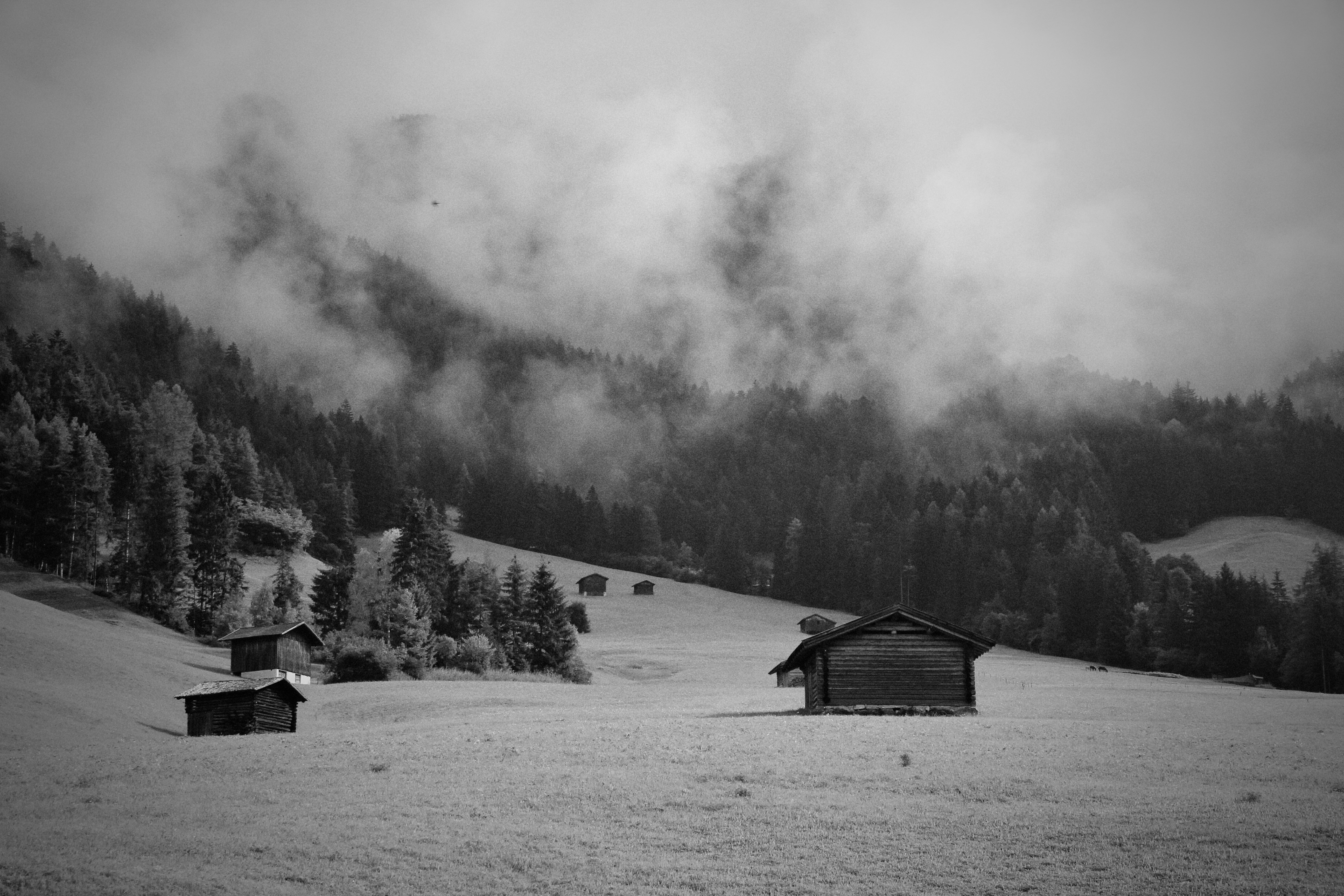 Hannah-Sophie Lerch (@hannahlerch) | Unsplashフォトコミュニティ