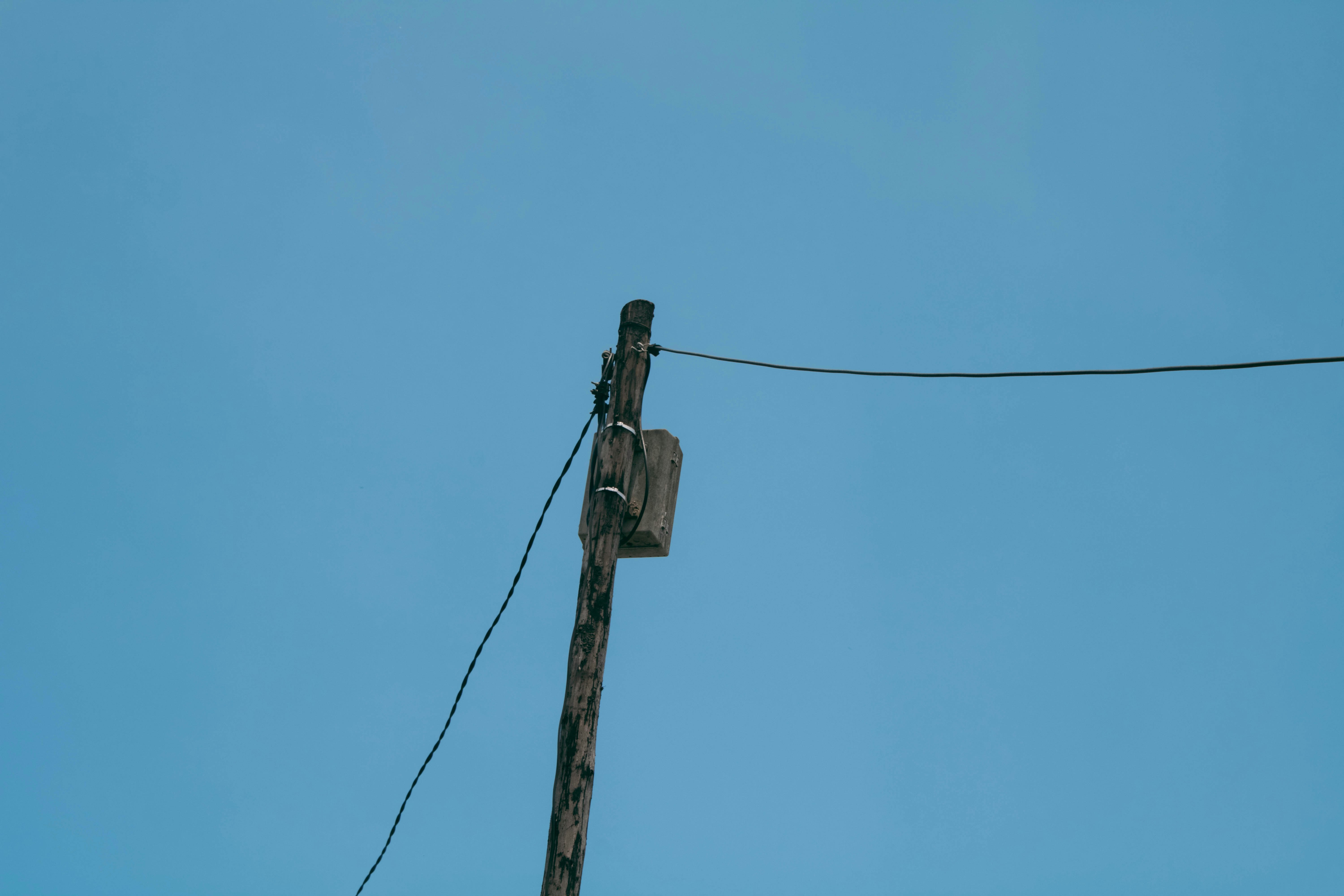 Photo by Shiv Singh with Canon EOS 2000D