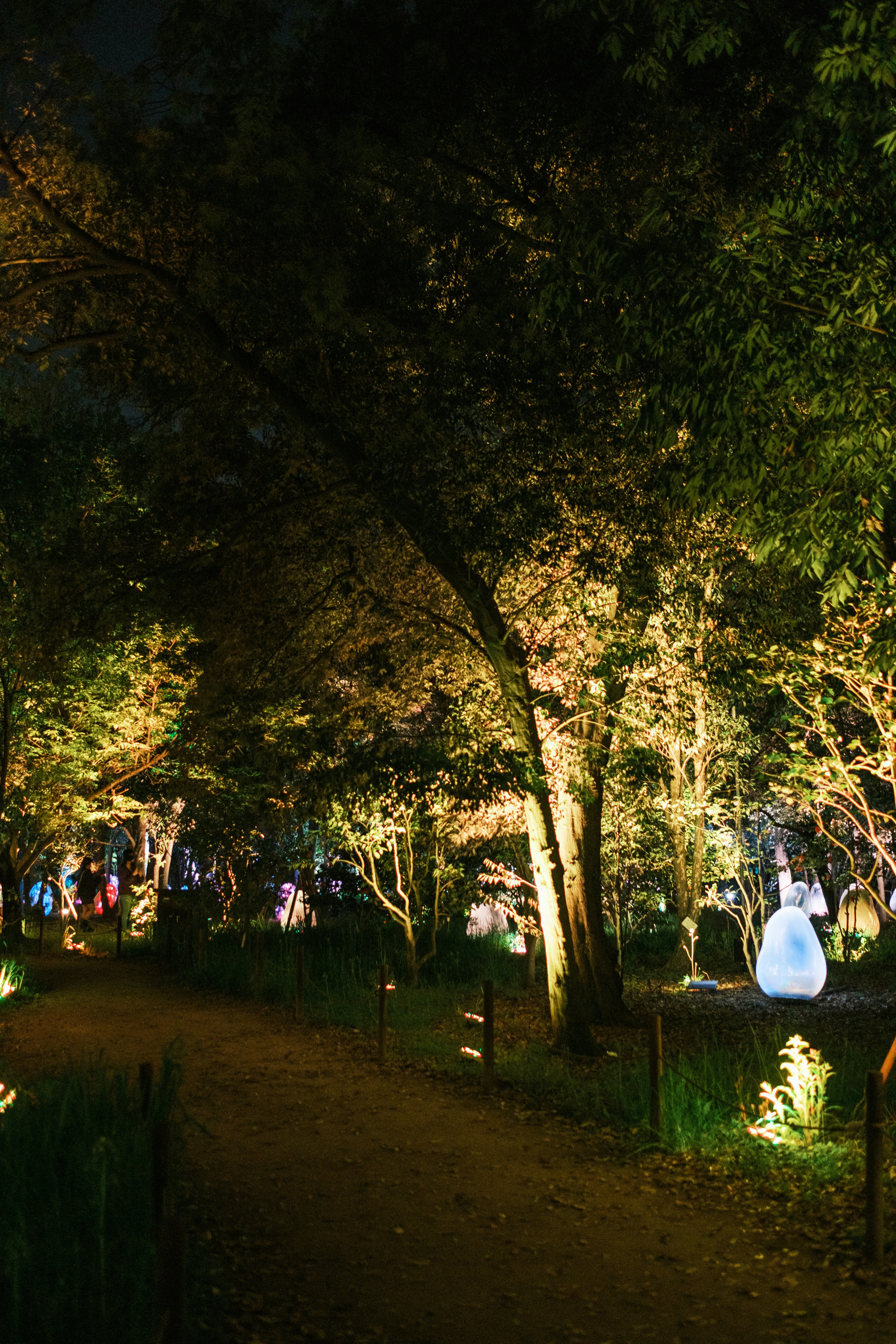 A path in a park lit up with lights photo – Free Osaka Image on Unsplash