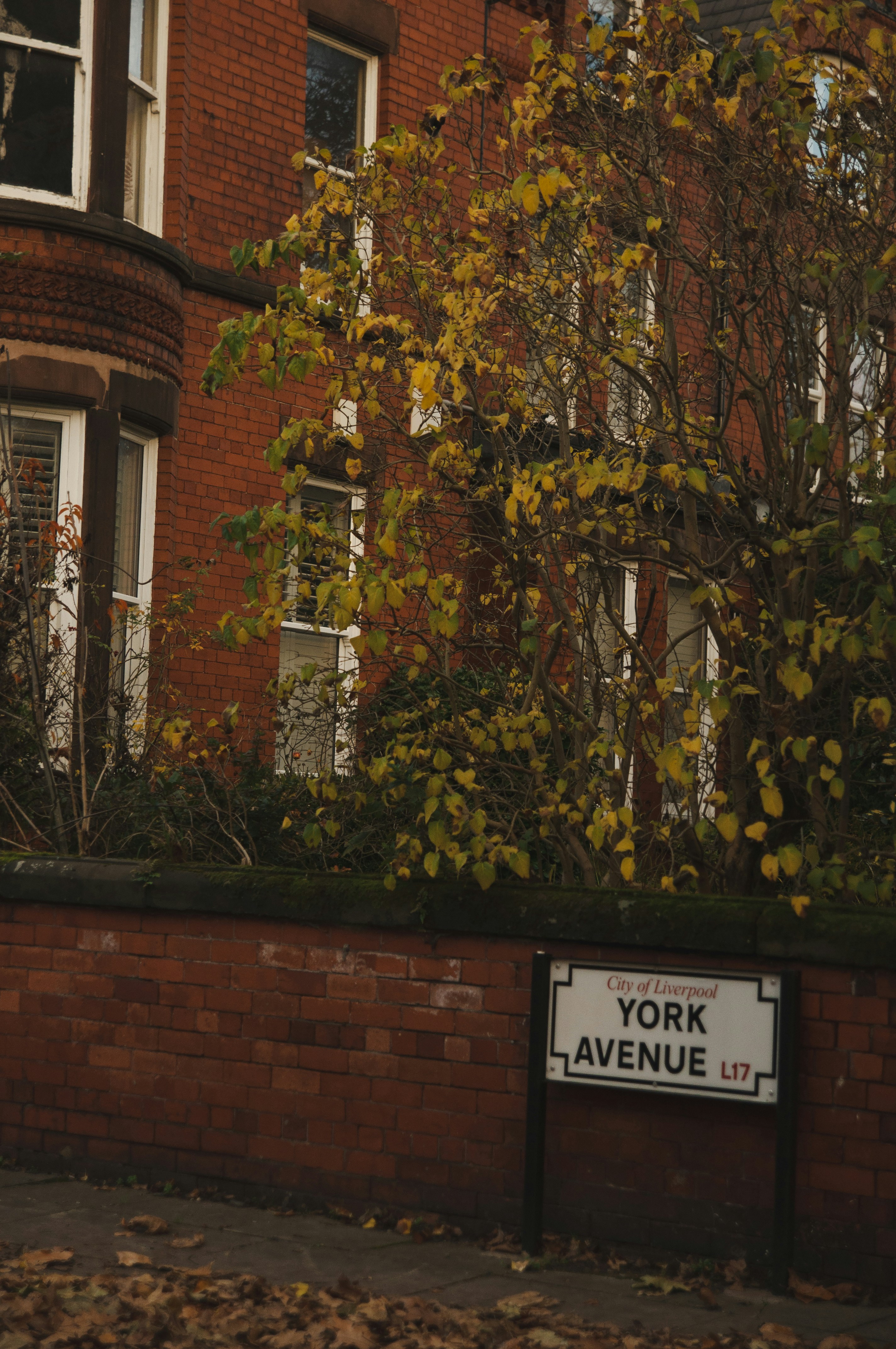 Autumn on York Avenue: Brick Facade Framed by Golden Foliage