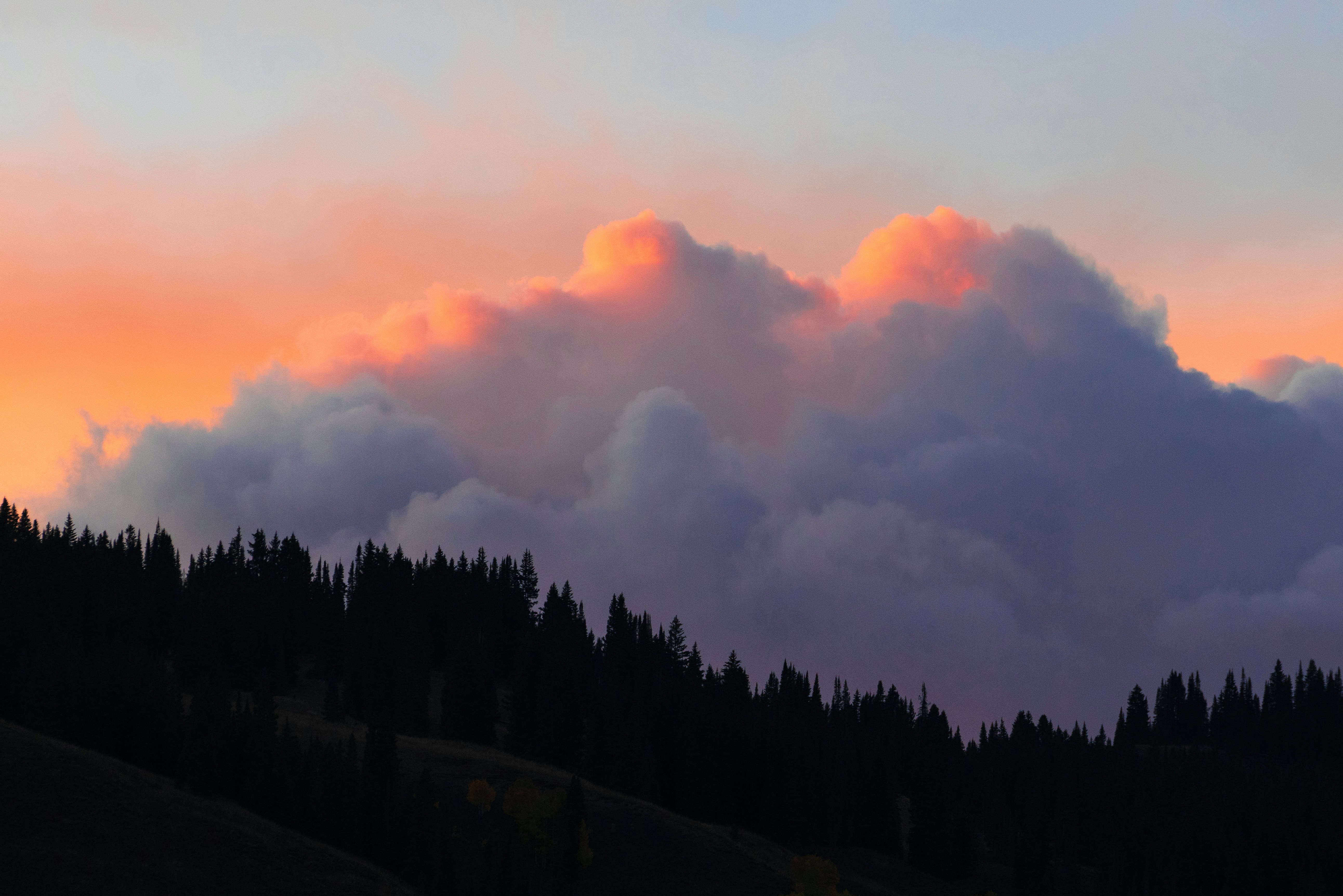 Twilight Crest: A Horizon of Puissant Clouds Over Quiet Pines