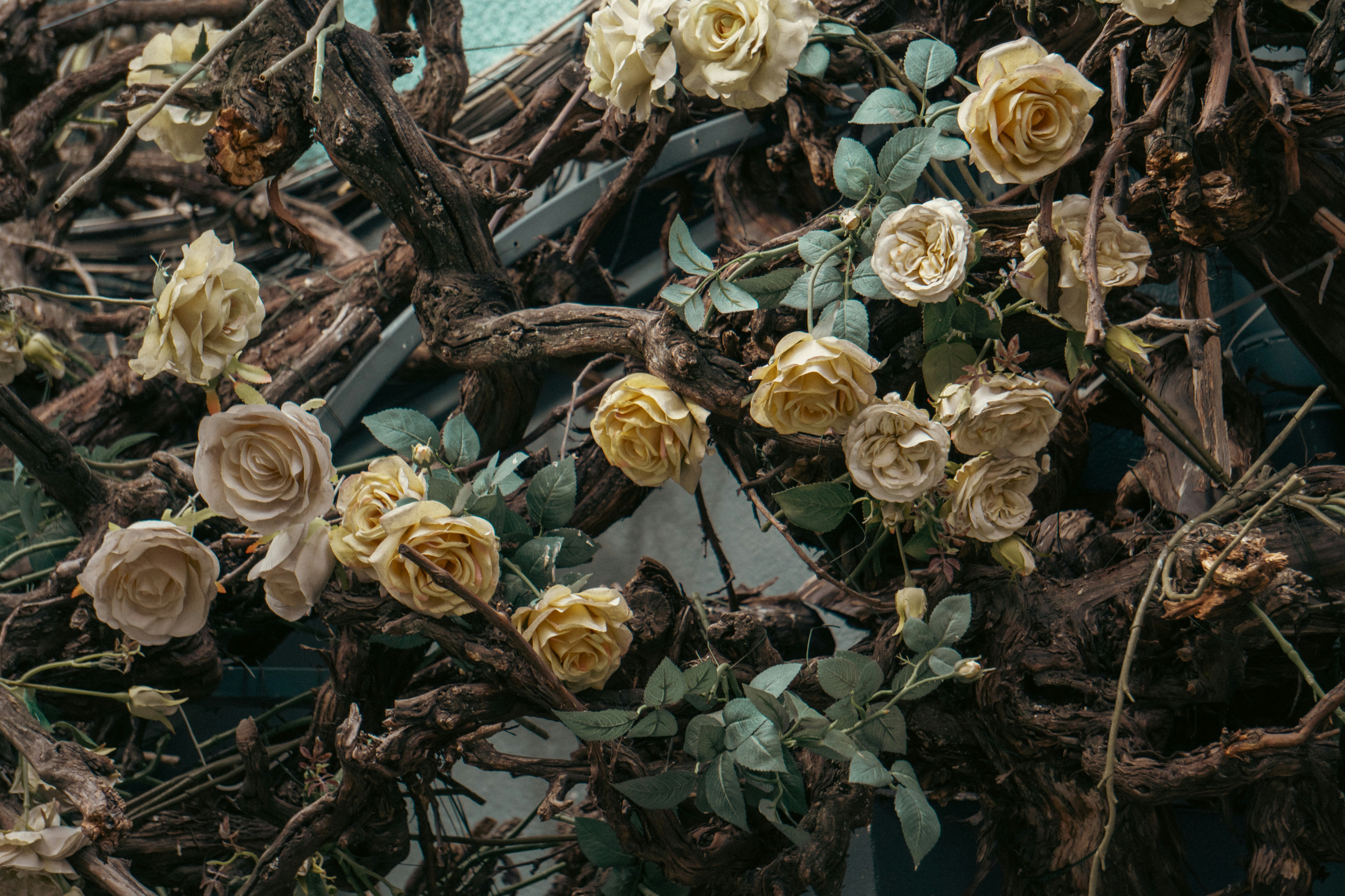 Photo by Rosen Stoyanov with SONY ZV-E10