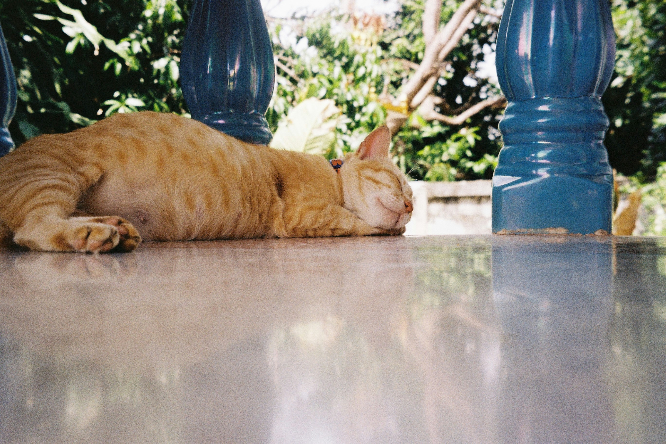 Sunlit Slumber Between Blue Columns