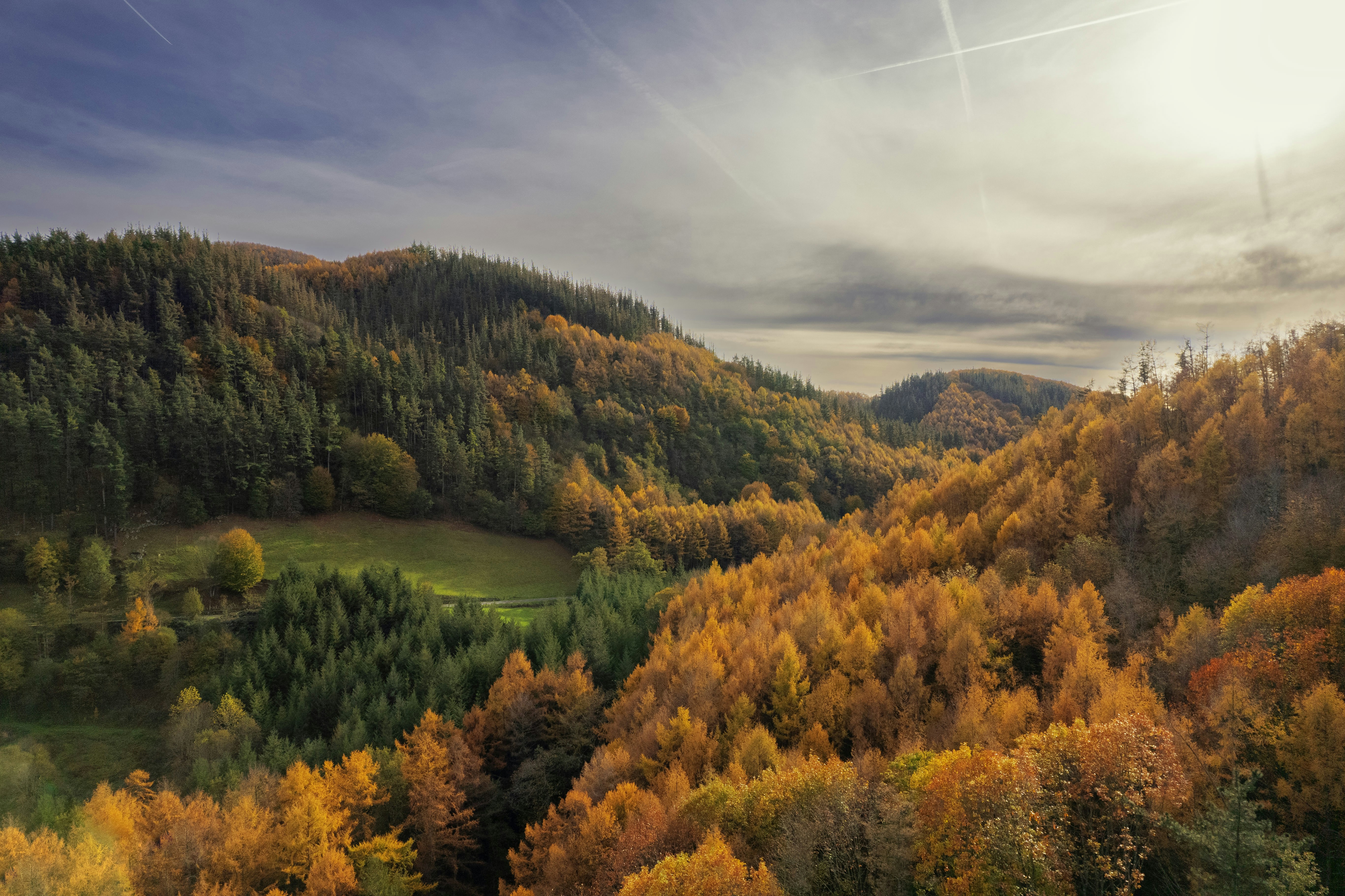 Vibrant autumn foliage blankets rolling hills under a dynamic sky.