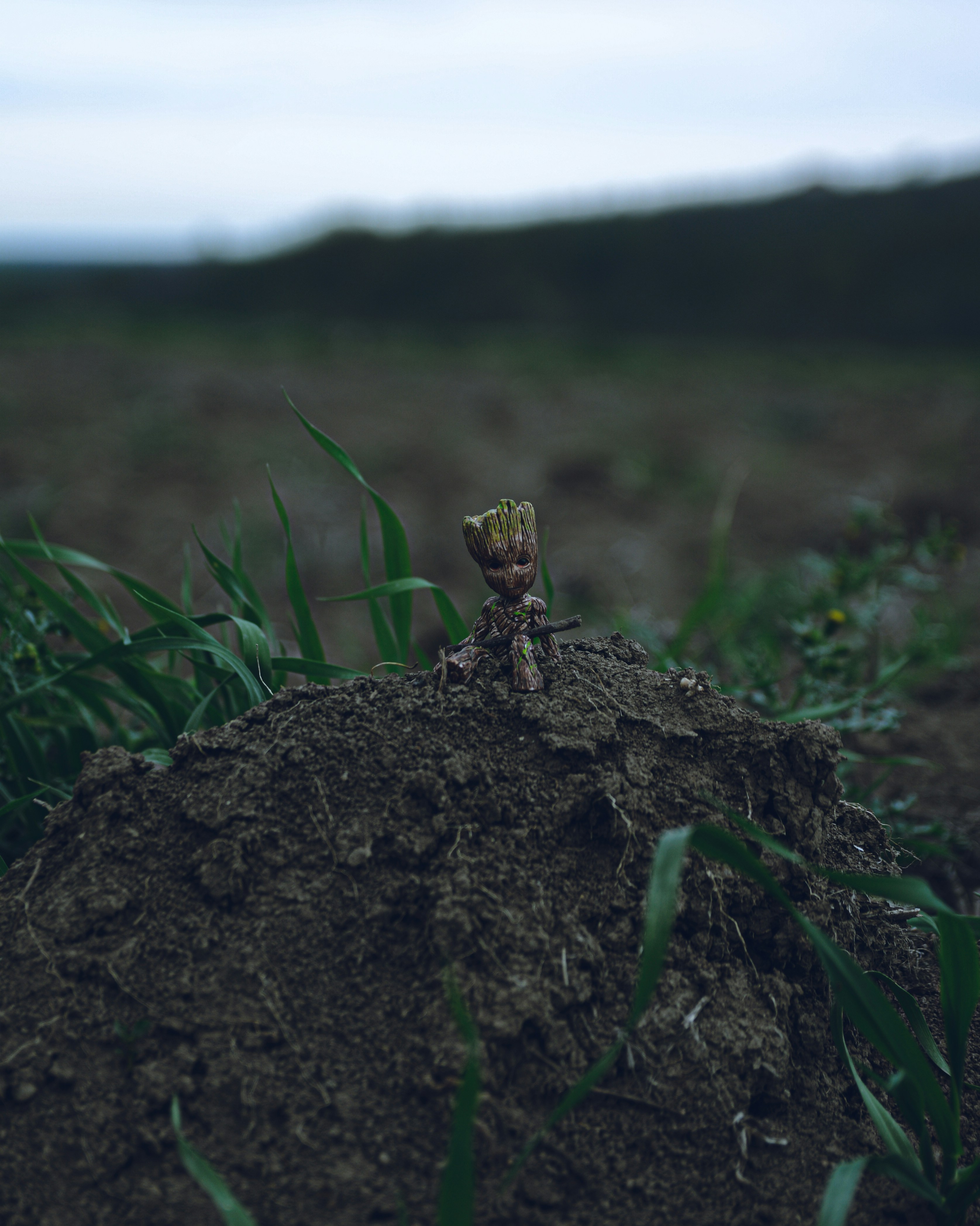Mud Monument: A Tiny Sentinel Perched on Soil Ridge