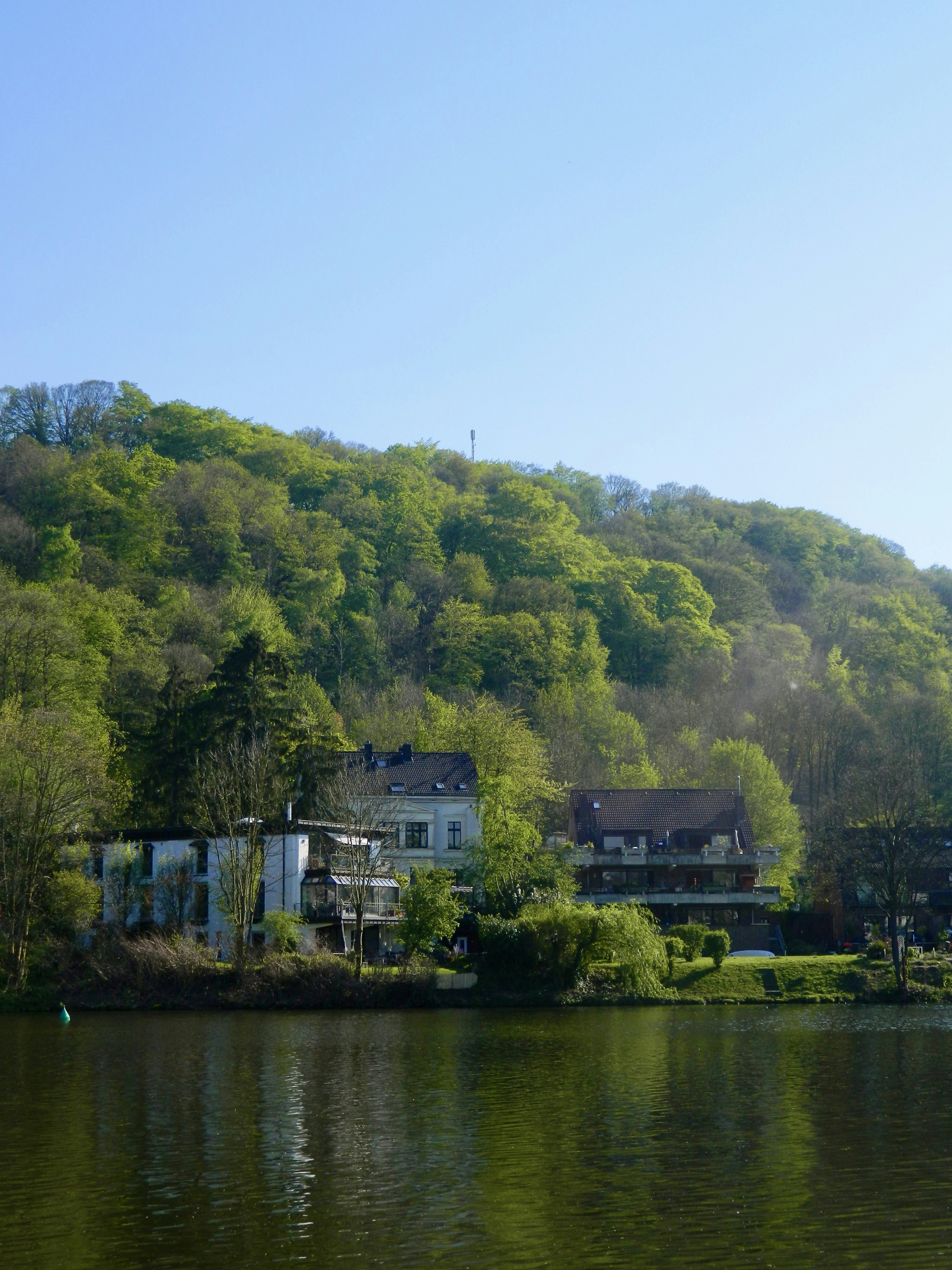 Greener Side of Life.