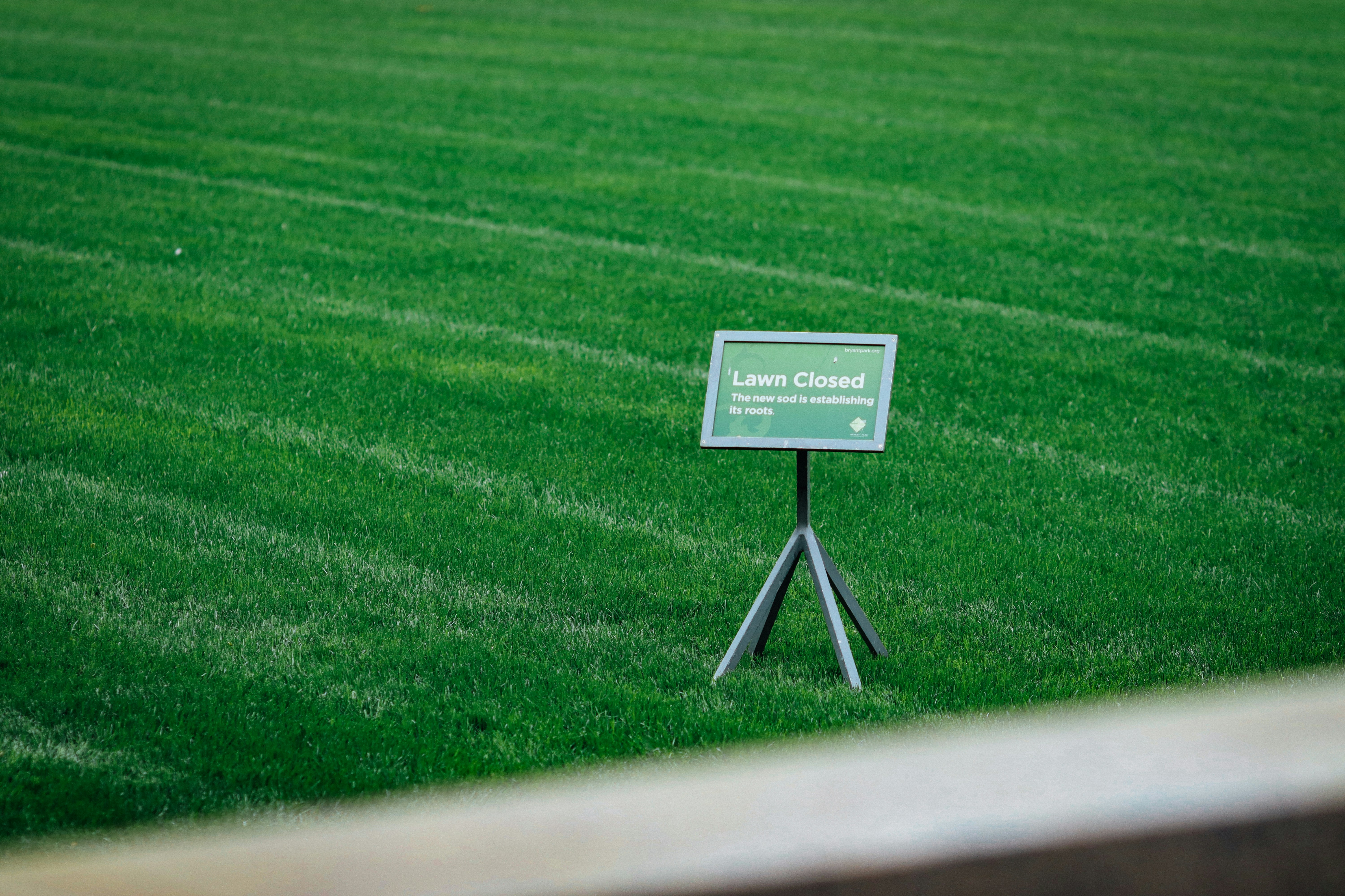 Lawn Closed: A Signpost Quietly Guards the Green