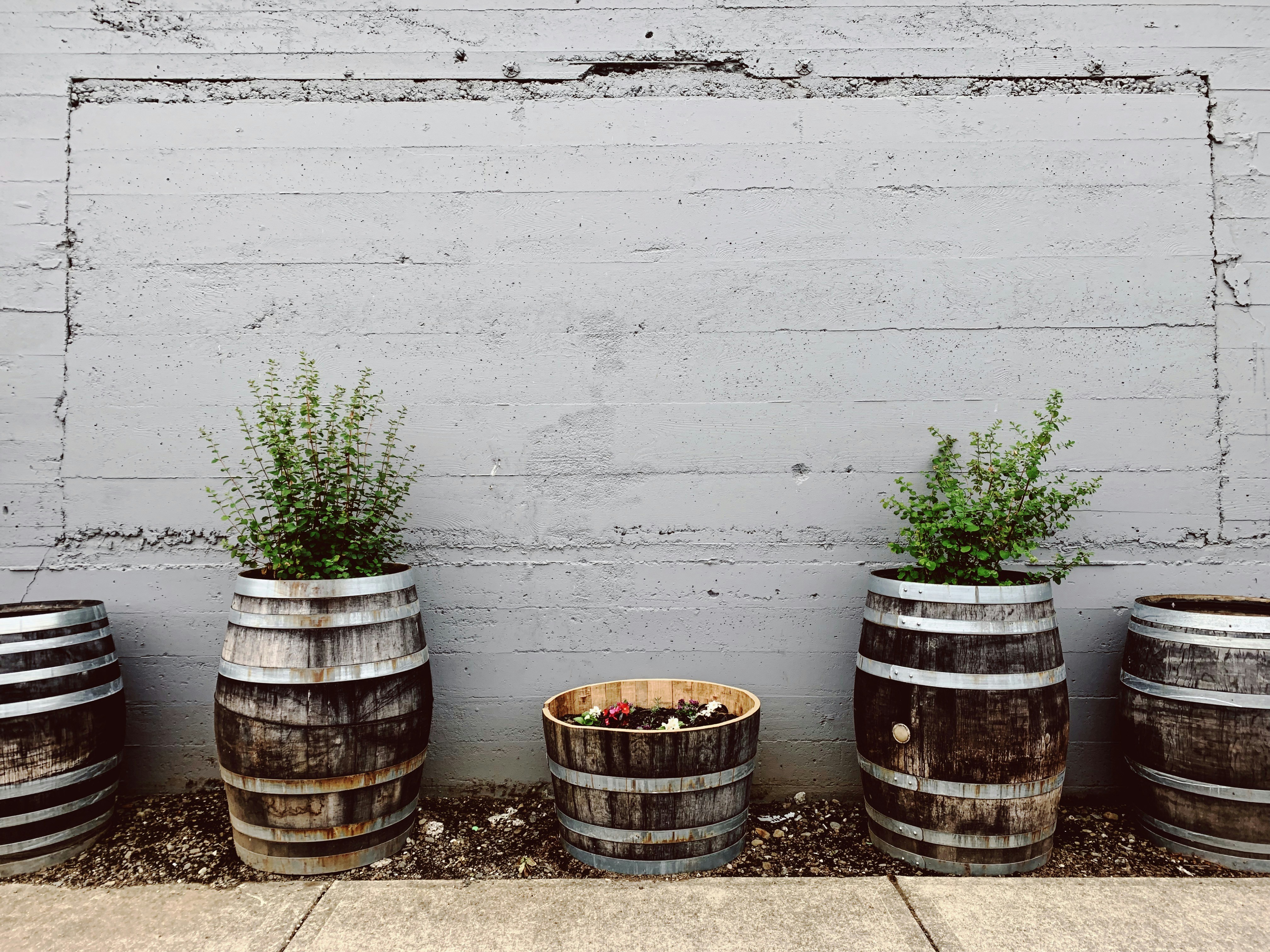 Photo by Tanya Tom with Apple iPhone XR