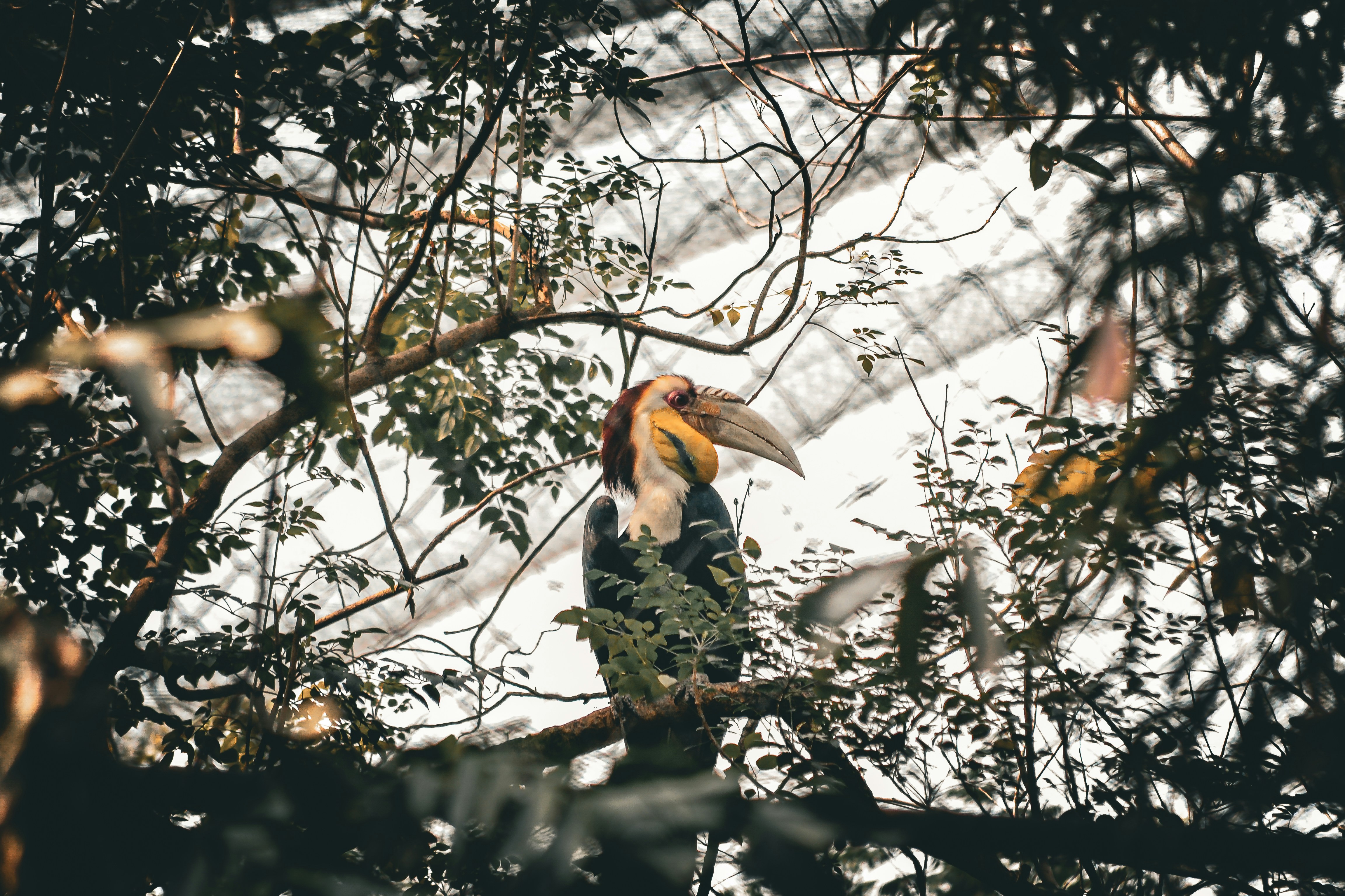 Photo by Joe with Nikon D3100