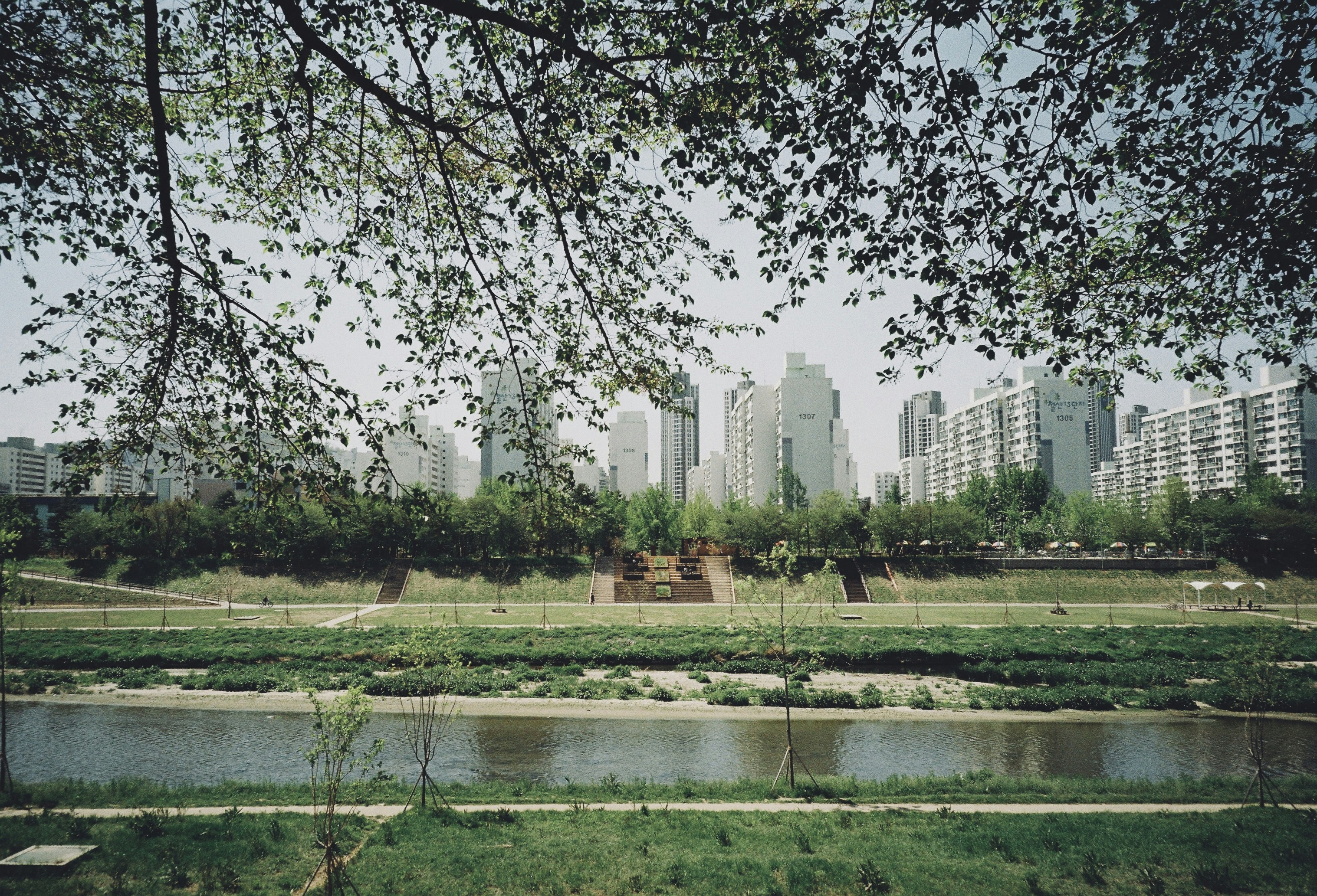 Photo by Clark Gu with Minolta TC-1