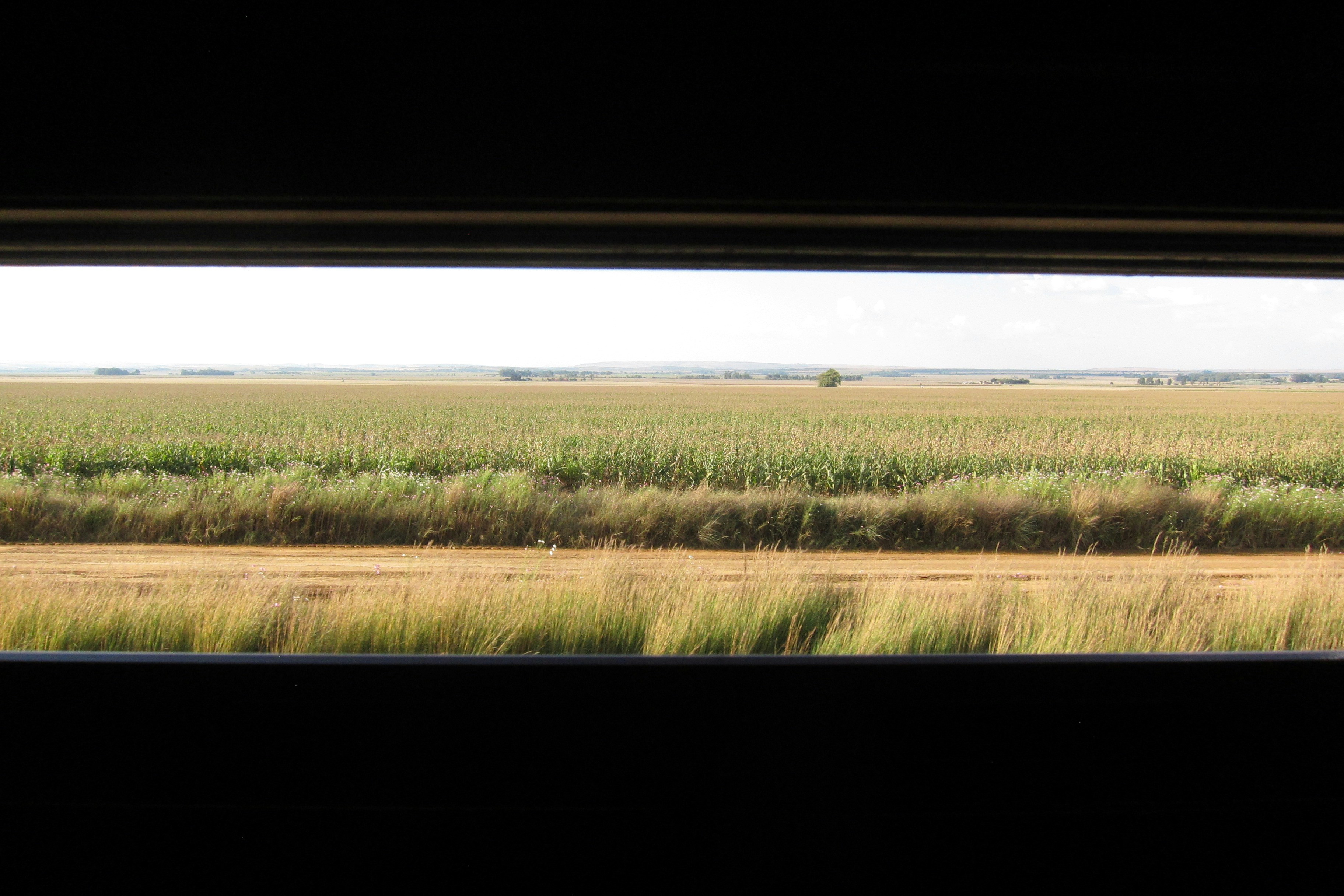 Window Slats Framing a Quiet Prairie Under Broad Daylight