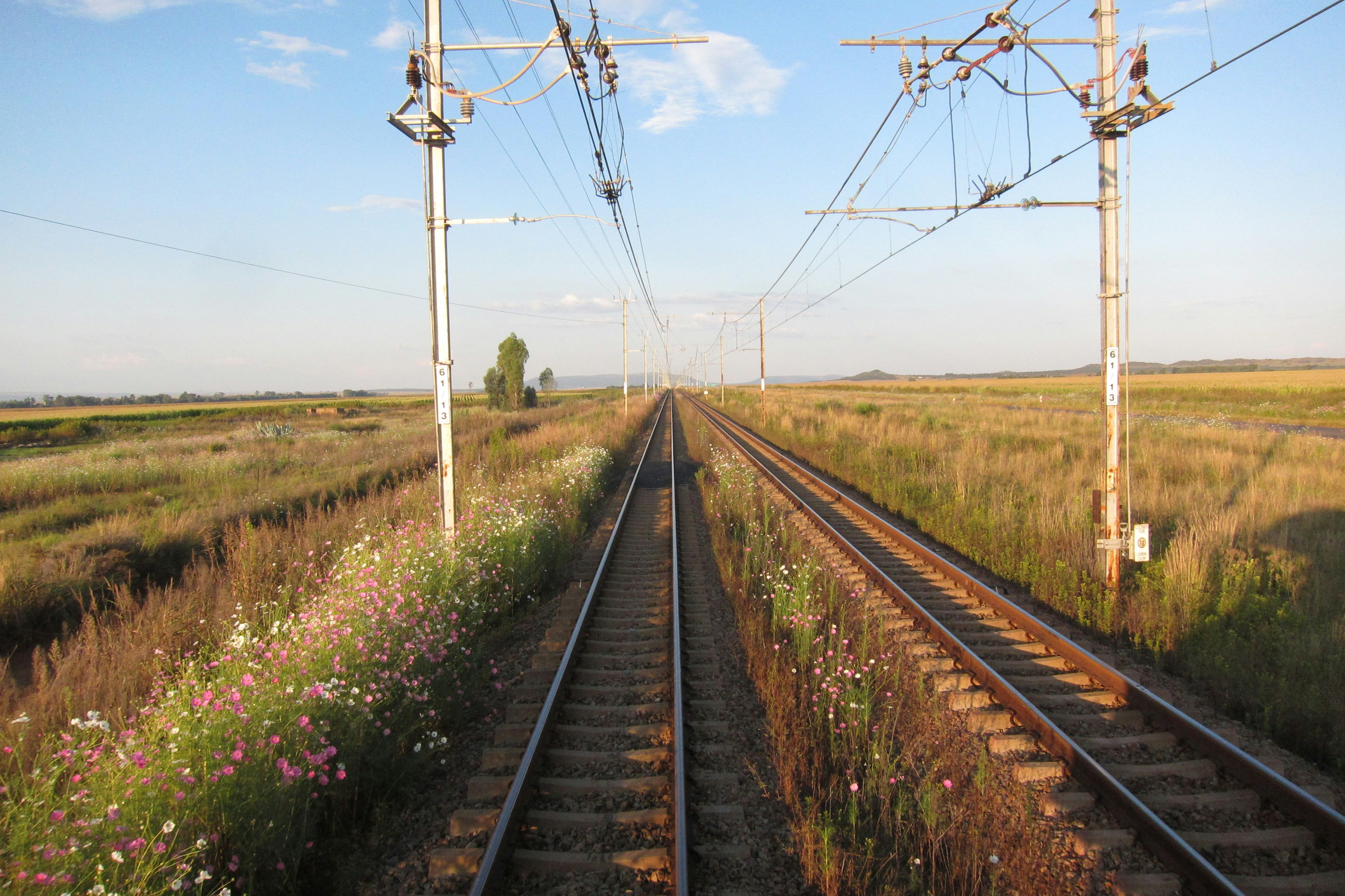 A train track running through a grassy field photo – Free South africa ...