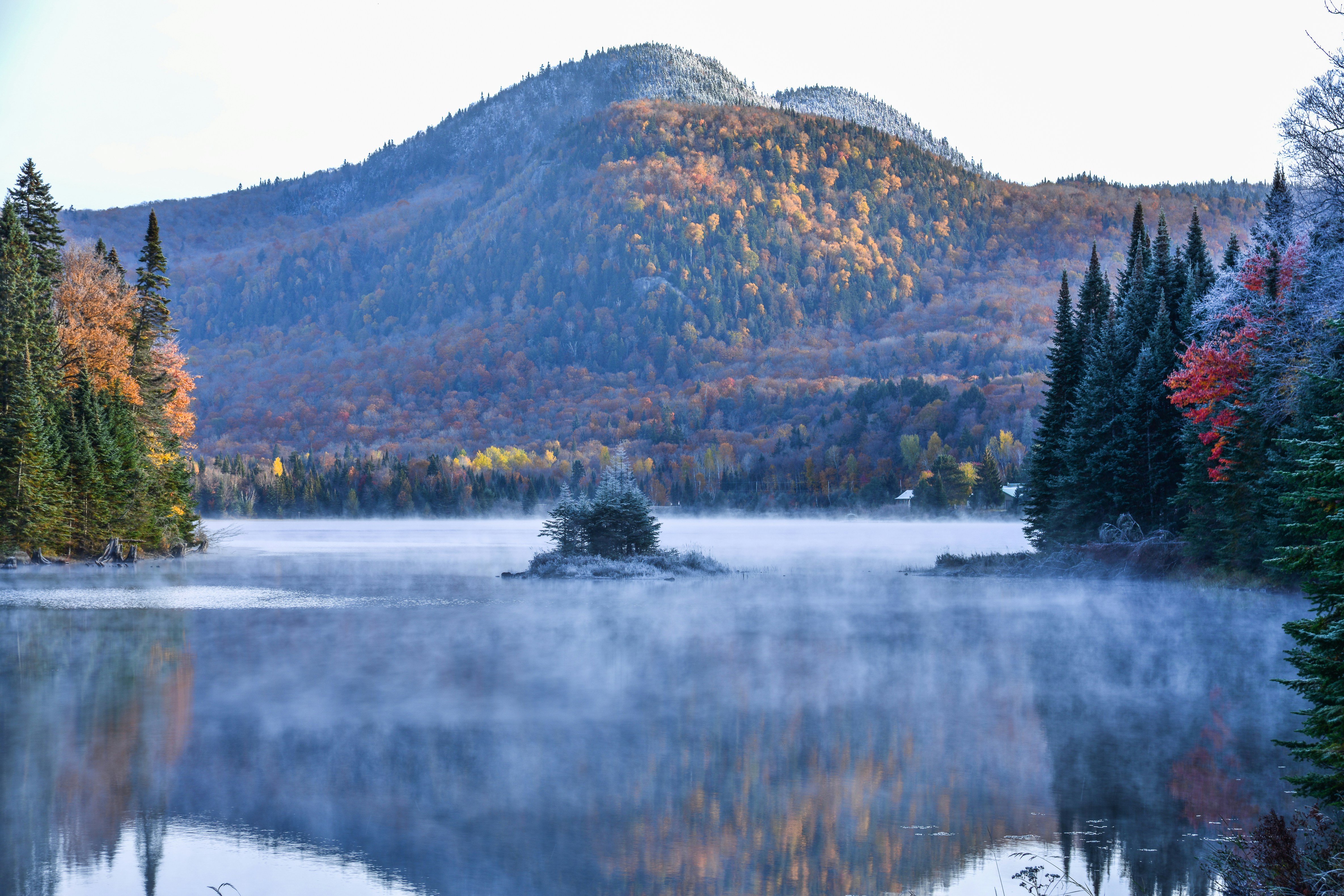 A lake surrounded by trees with a mountain in the background photo ...