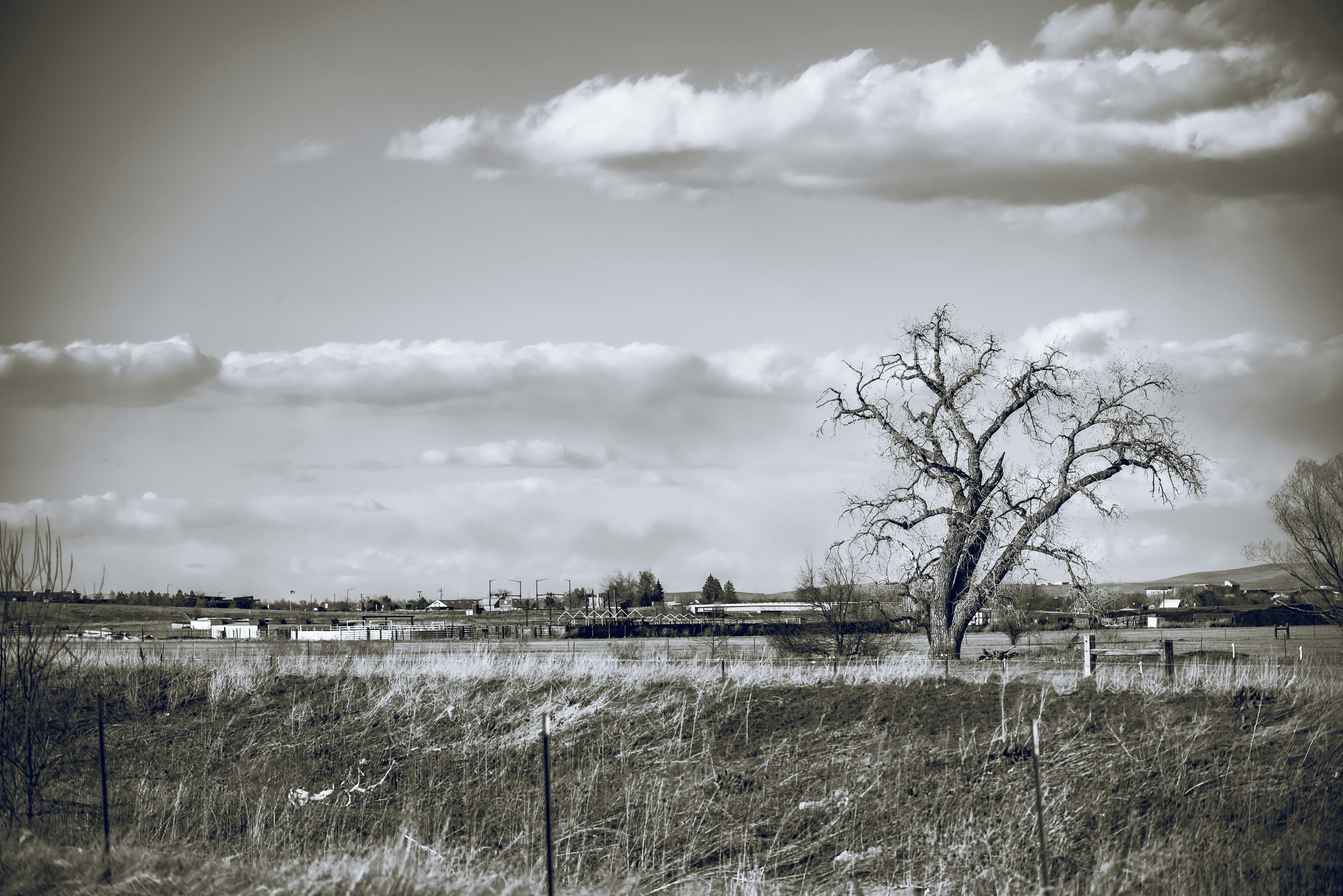 Nolan Kent (@ndkent) | Communauté photos Unsplash