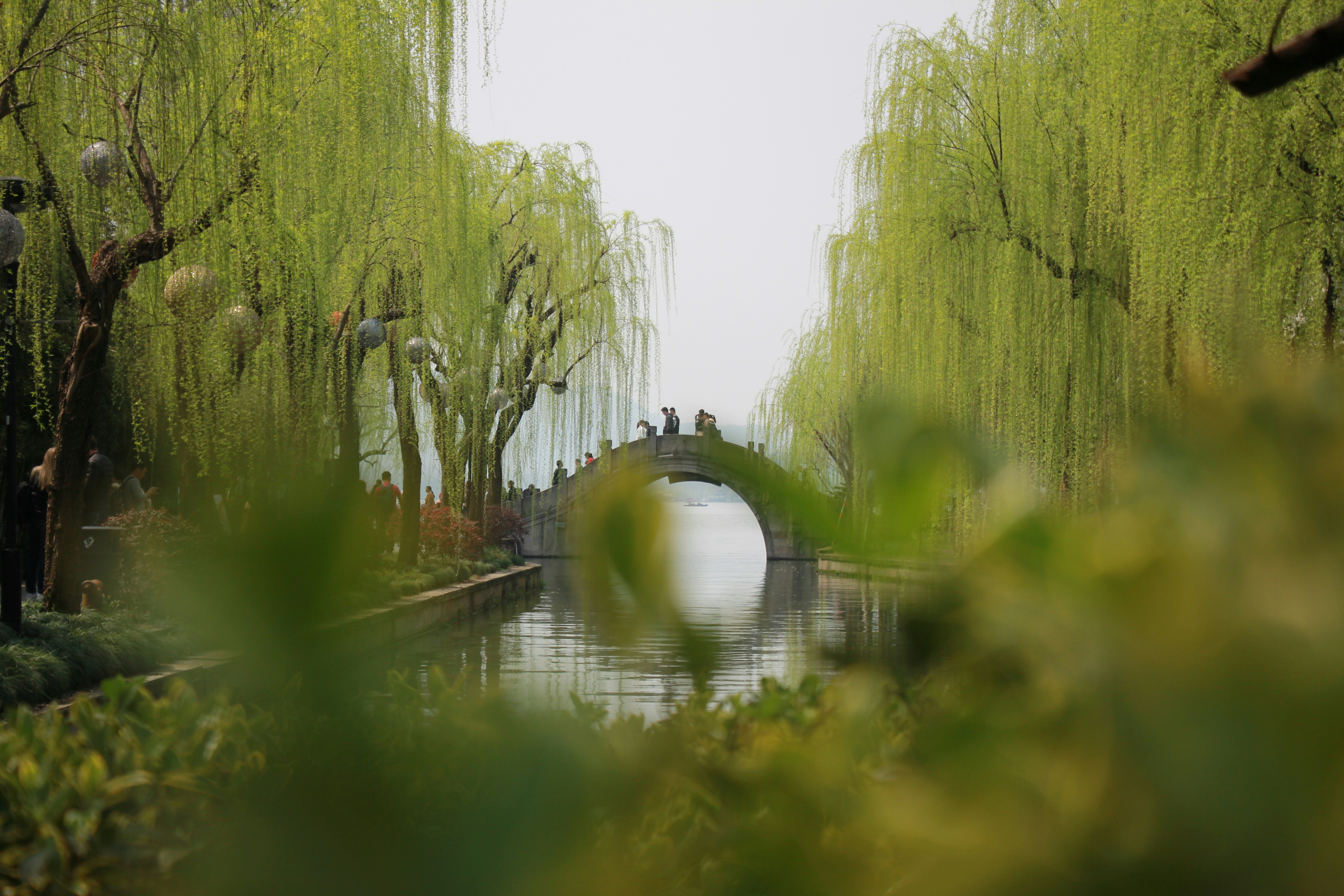 A serene scene featuring a stone bridge adorned with willows, framed by lush greenery along a tranquil waterway. The atmosphere evokes a sense of calm and reflection.