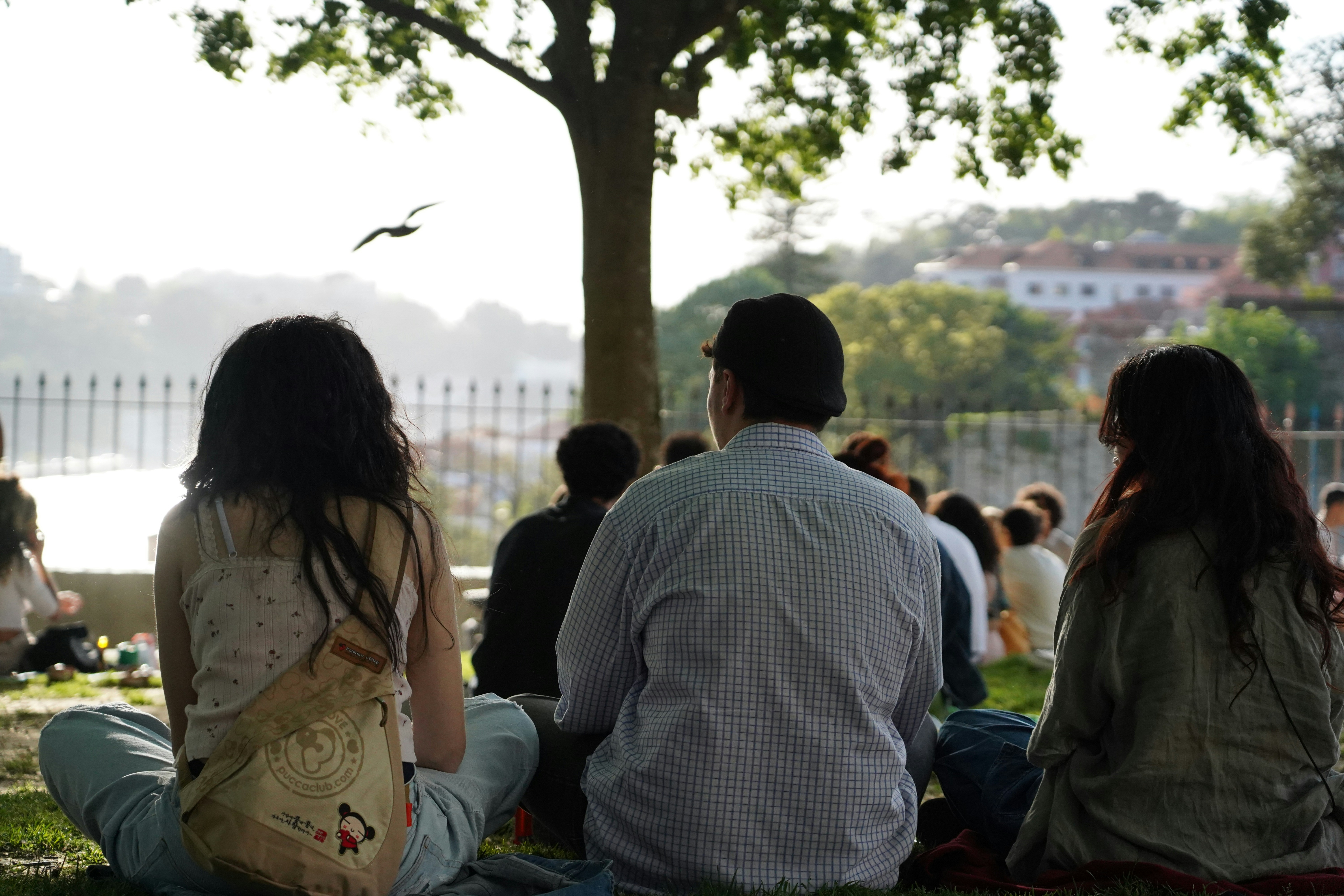 People enjoying a peaceful moment seated on grass beneath a large tree near a riverside.