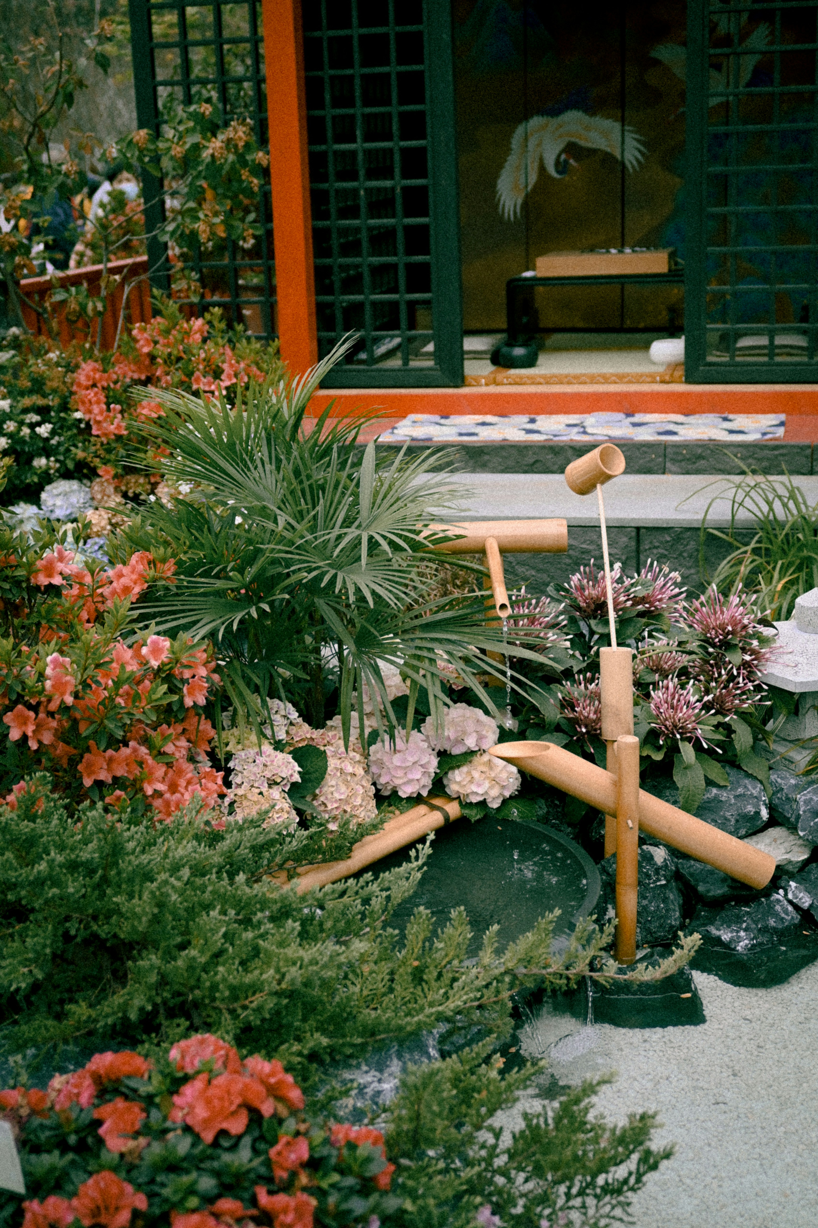Bamboo Water Feature Framed by Coral Blooms in a Tranquil Courtyard