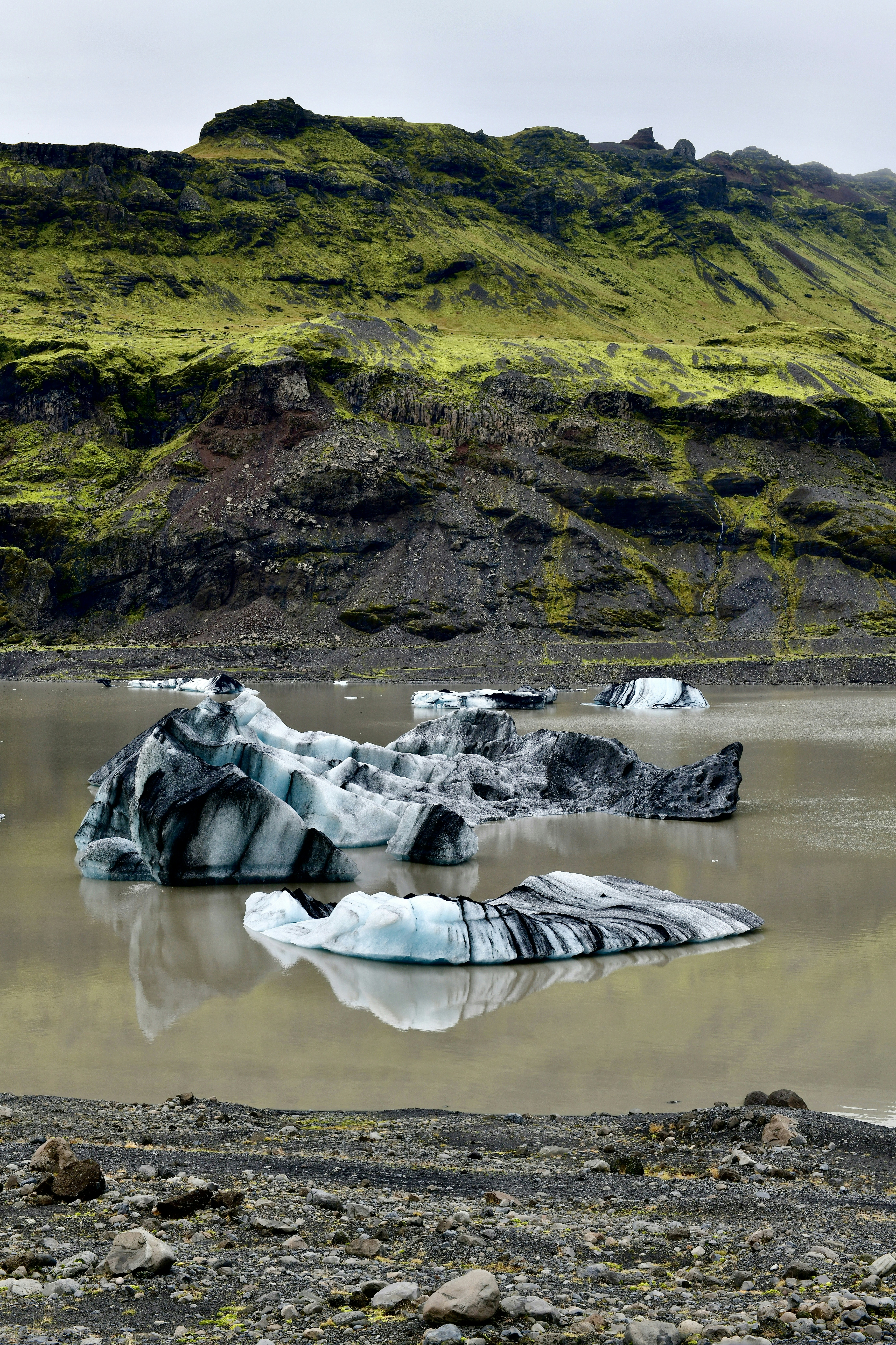 Ice Echoes Beneath Moss-Covered Cliffs