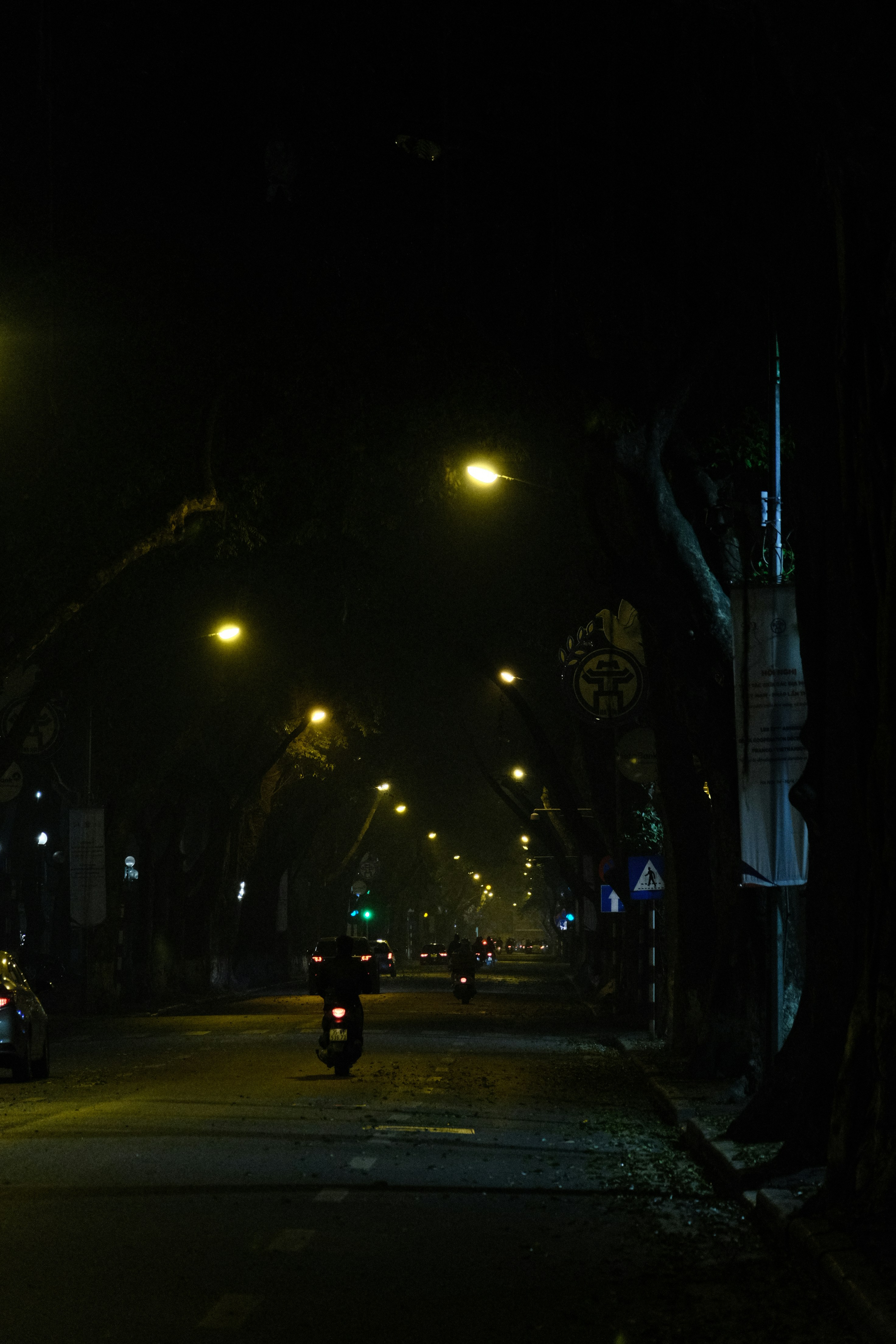 Midnight Corridor: Beacons tracing a quiet, tree-lined avenue