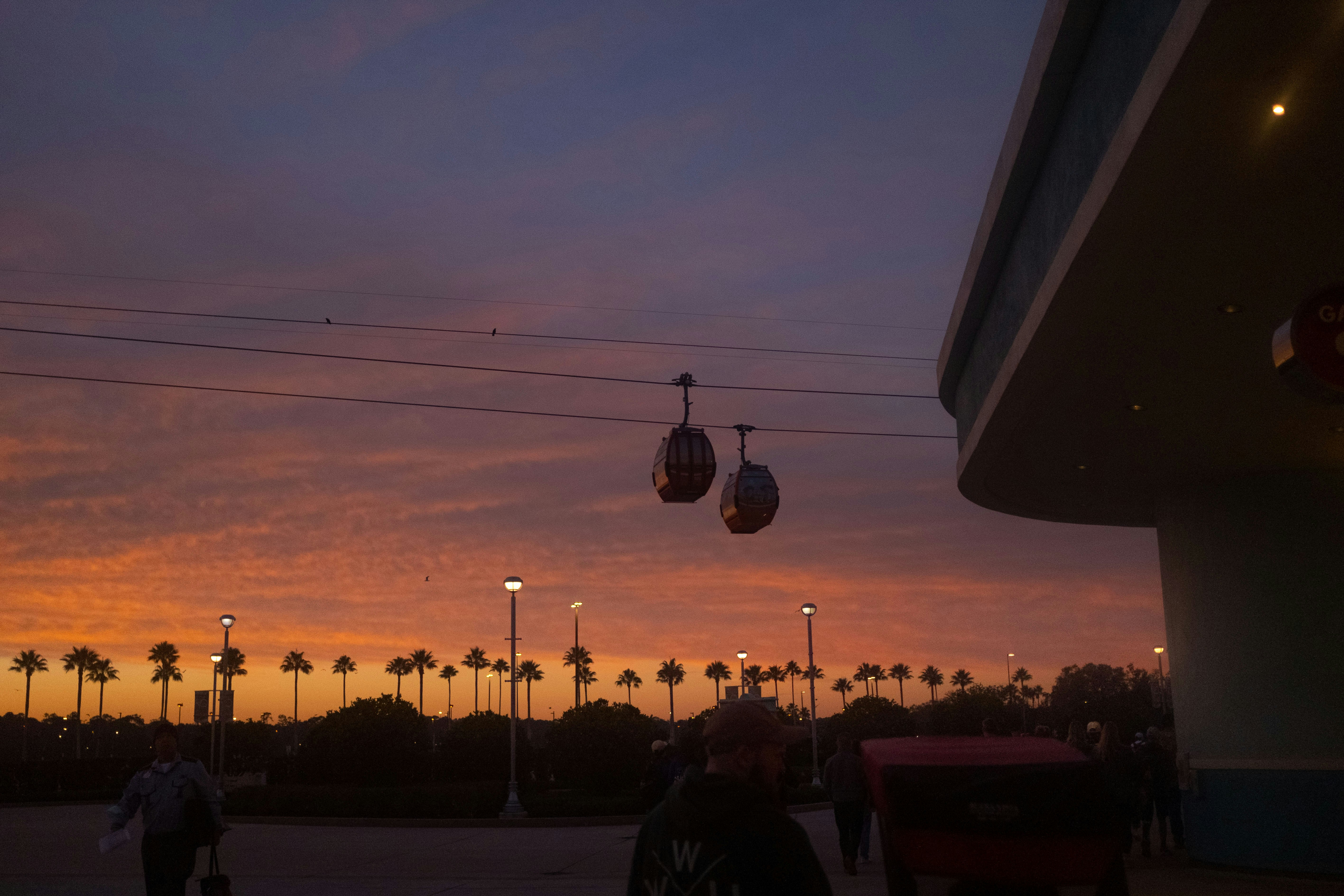 Dusk Gondola Glide: Palm-Lined Horizons by a Modern Pavilion