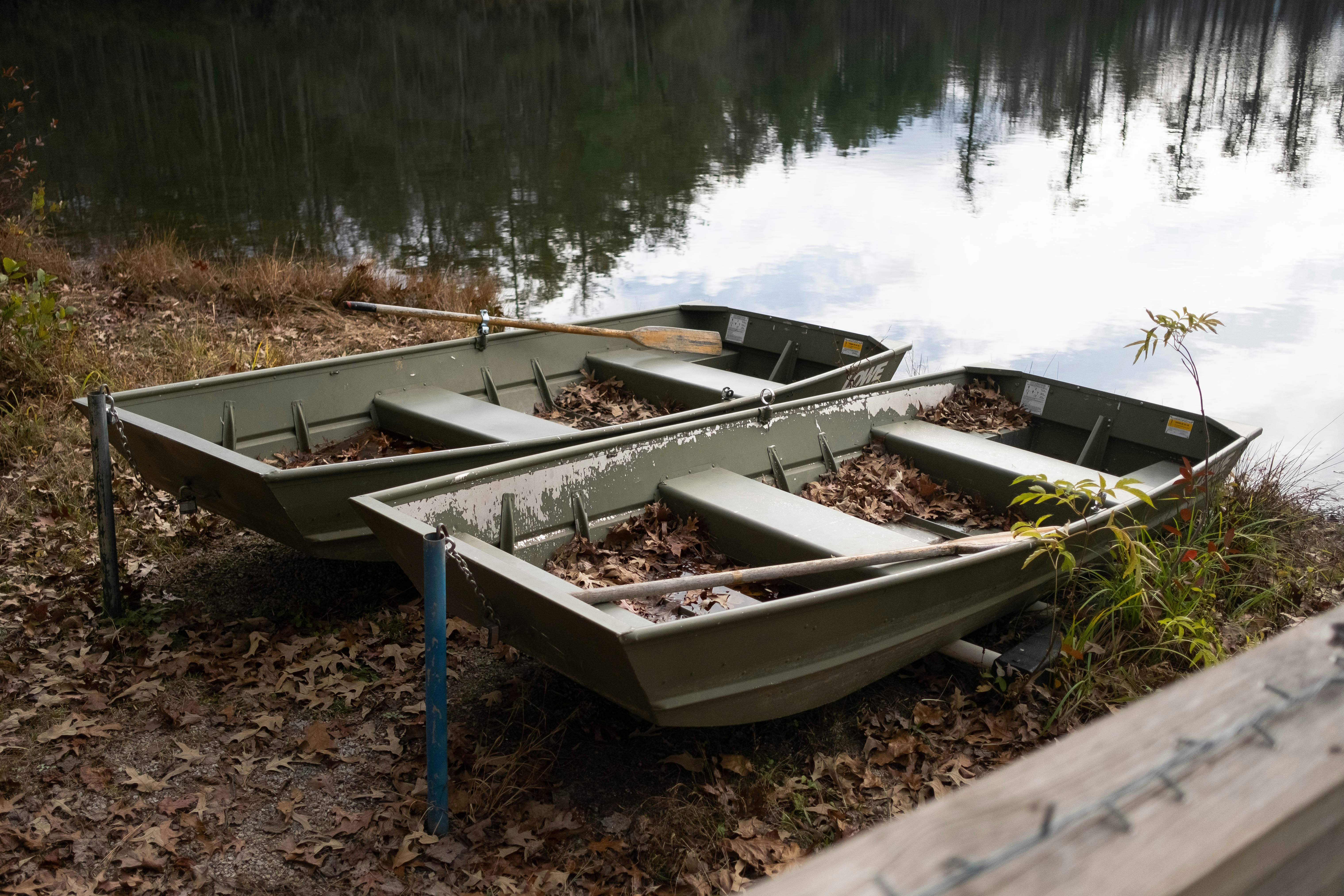 Leaf-Strewn Canoes Rest Along a Quiet Lakeshore