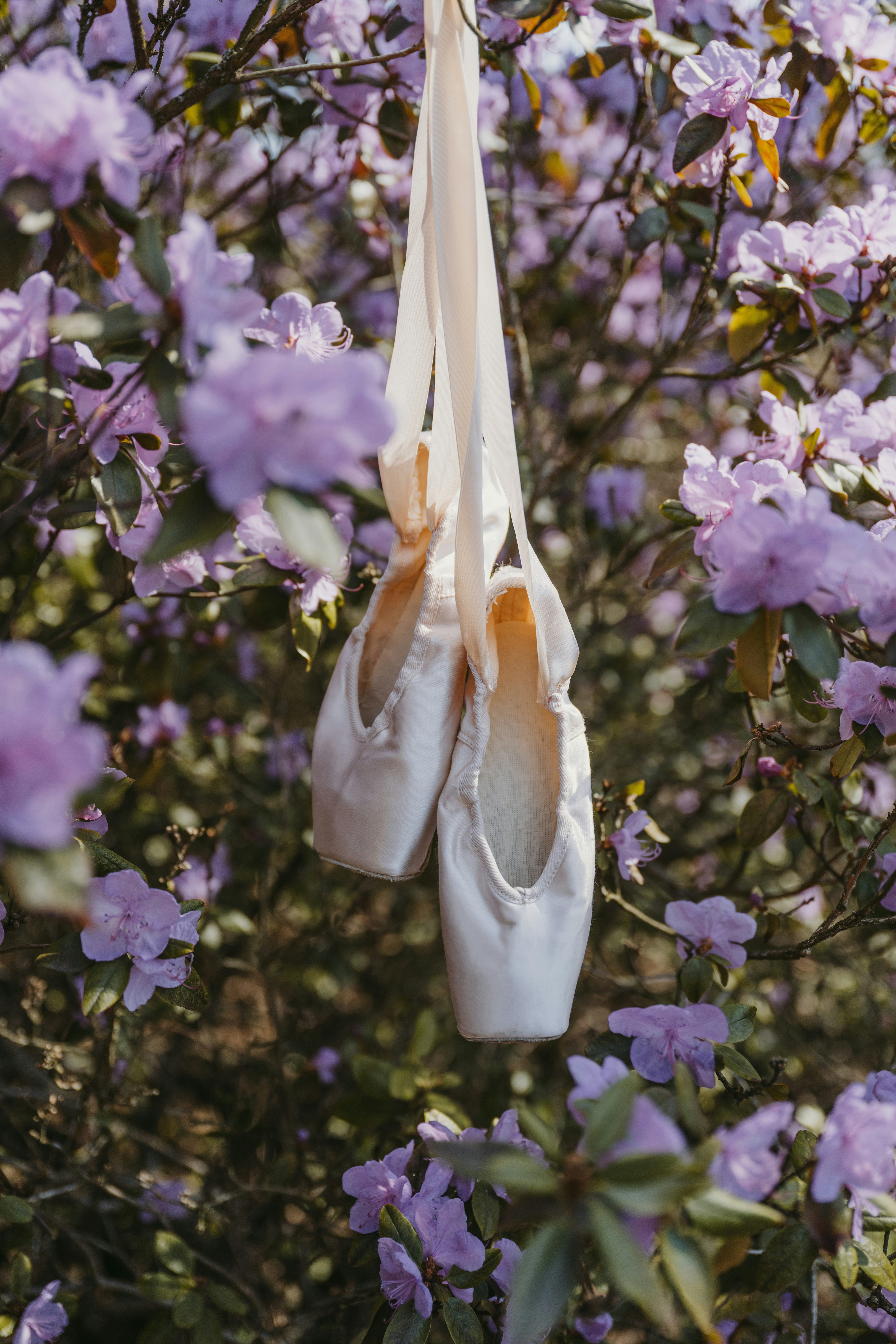 Ballet shoes suspended delicately amidst blooming purple flowers, symbolizing grace and artistry in nature.