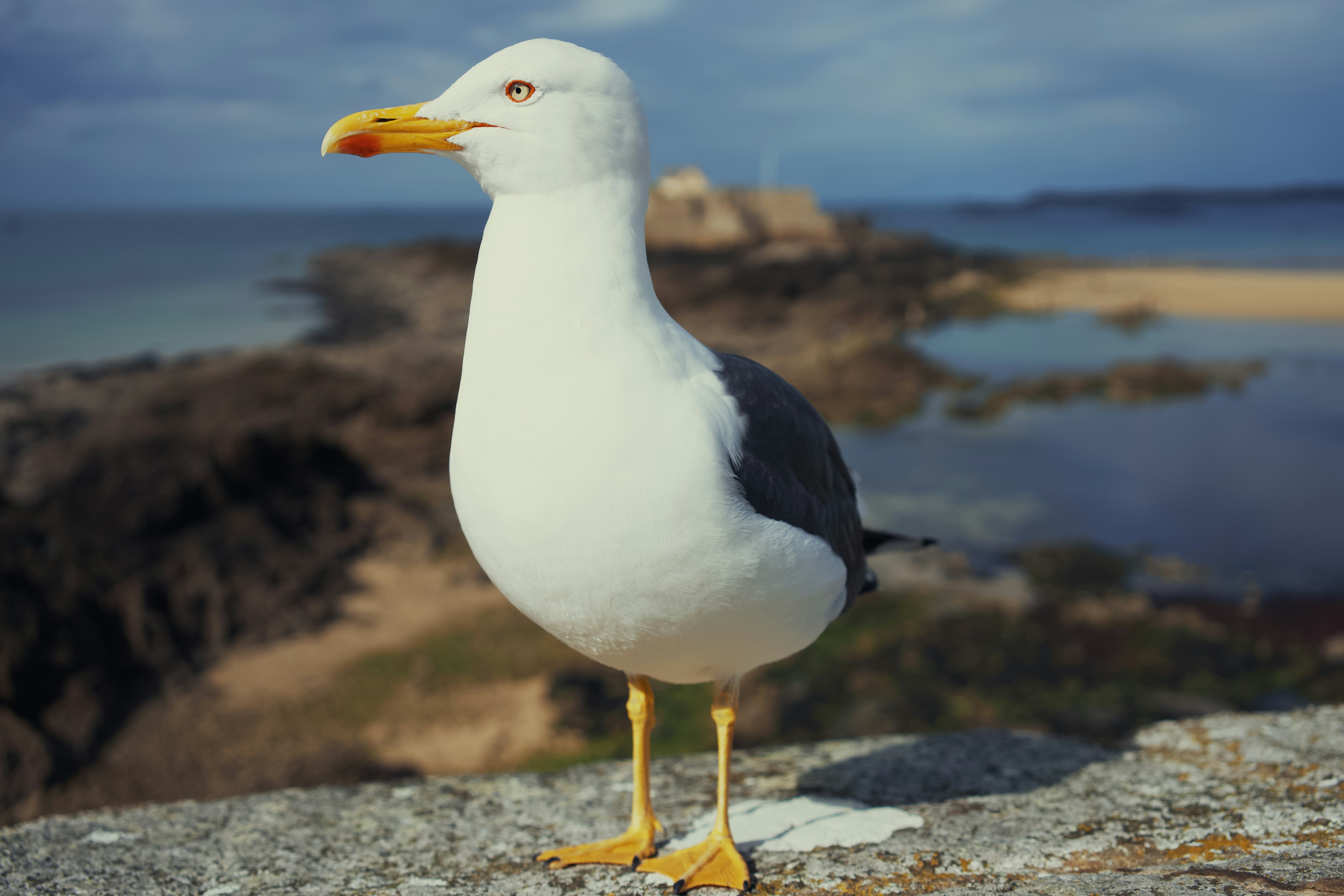 Photo by Erwan Hesry with Sony Alpha 7C