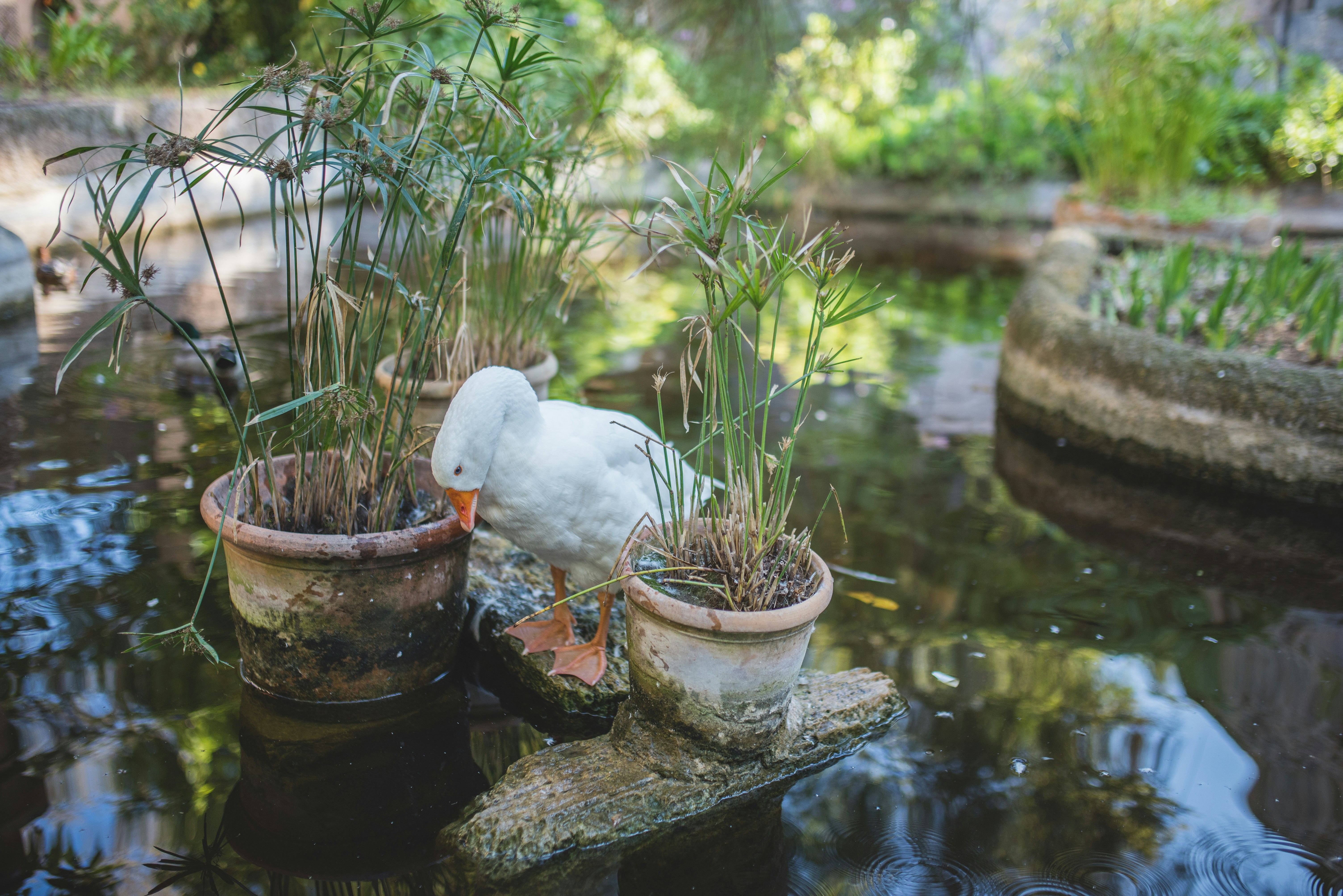 Photo by Monika Guzikowska with Nikon D750