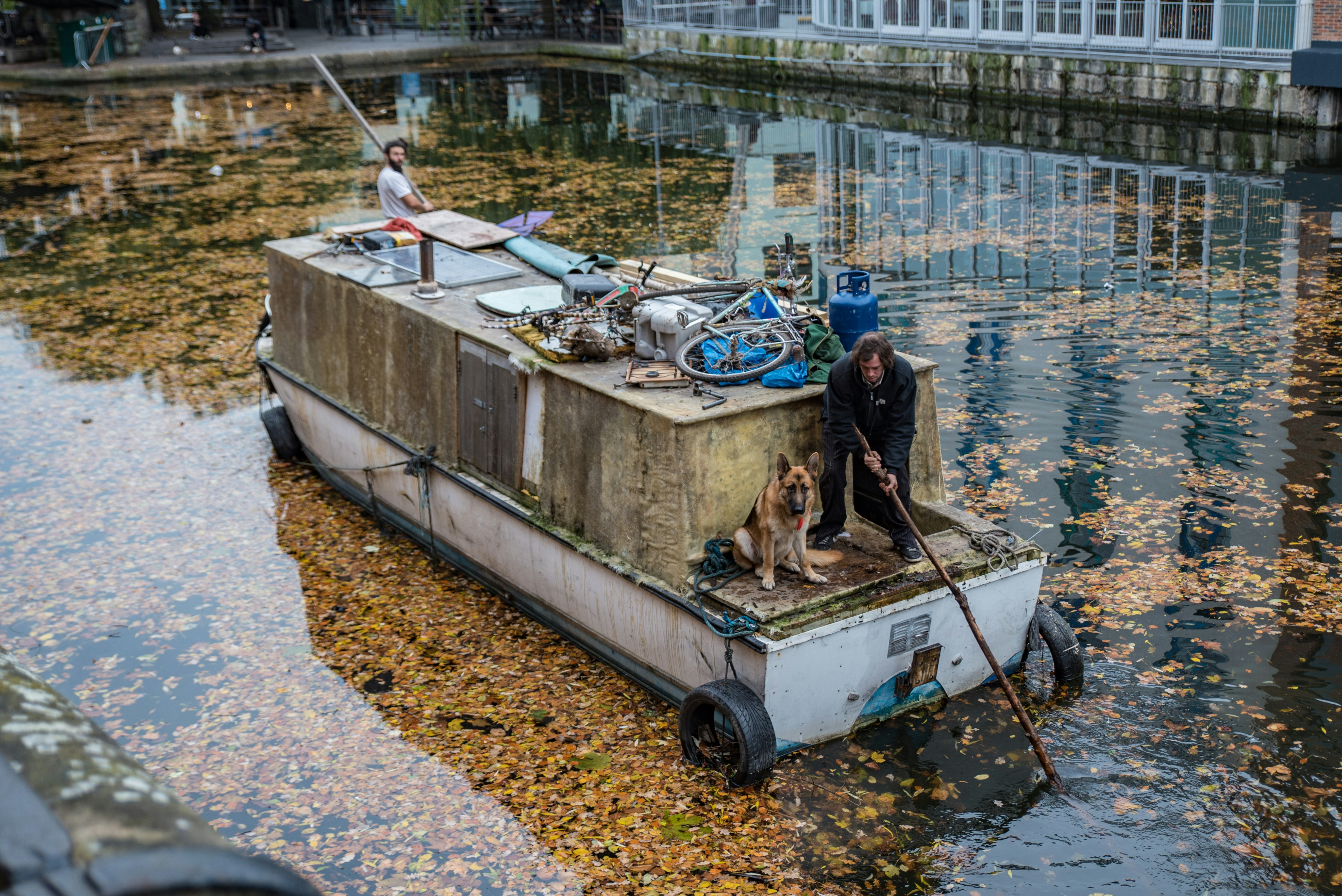 Leaf-Littered Drift: Man and Dog on a Riverside Workboat